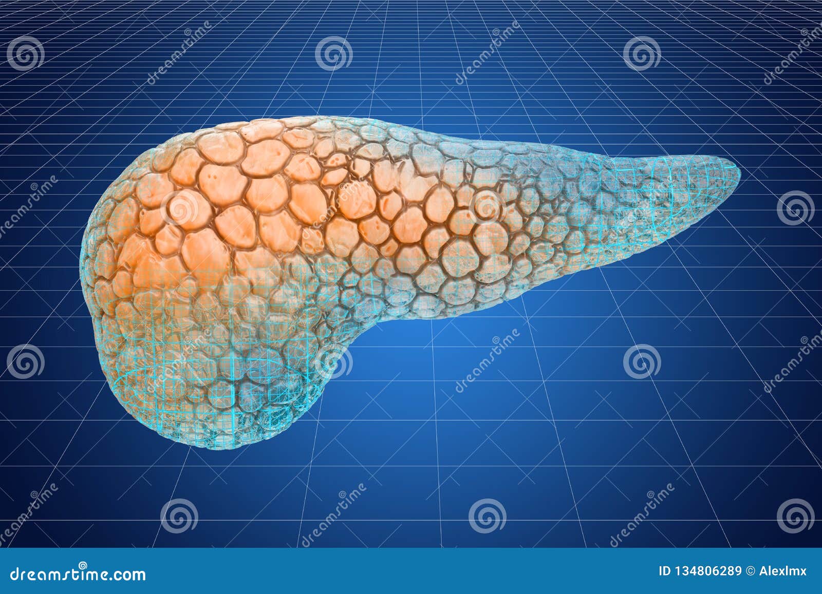 Visualization 3d Cad Model of Human Pancreas, 3D Rendering Stock ...