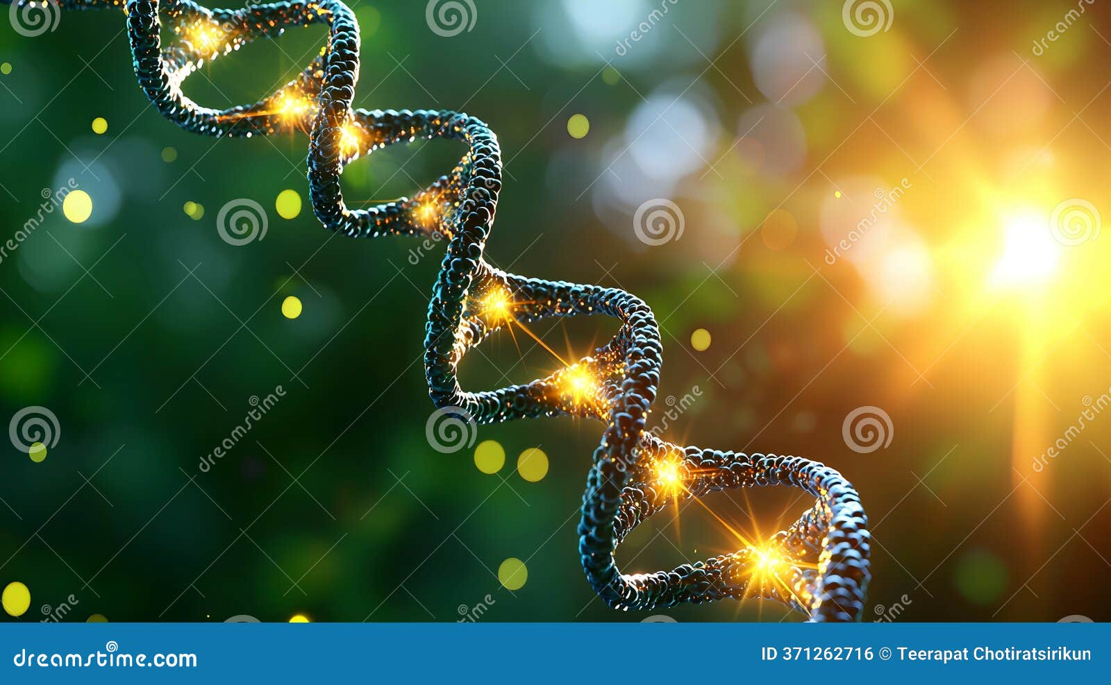 Genetic Mutation. Normal And Mutated Genes That Synthesis Normal And ...