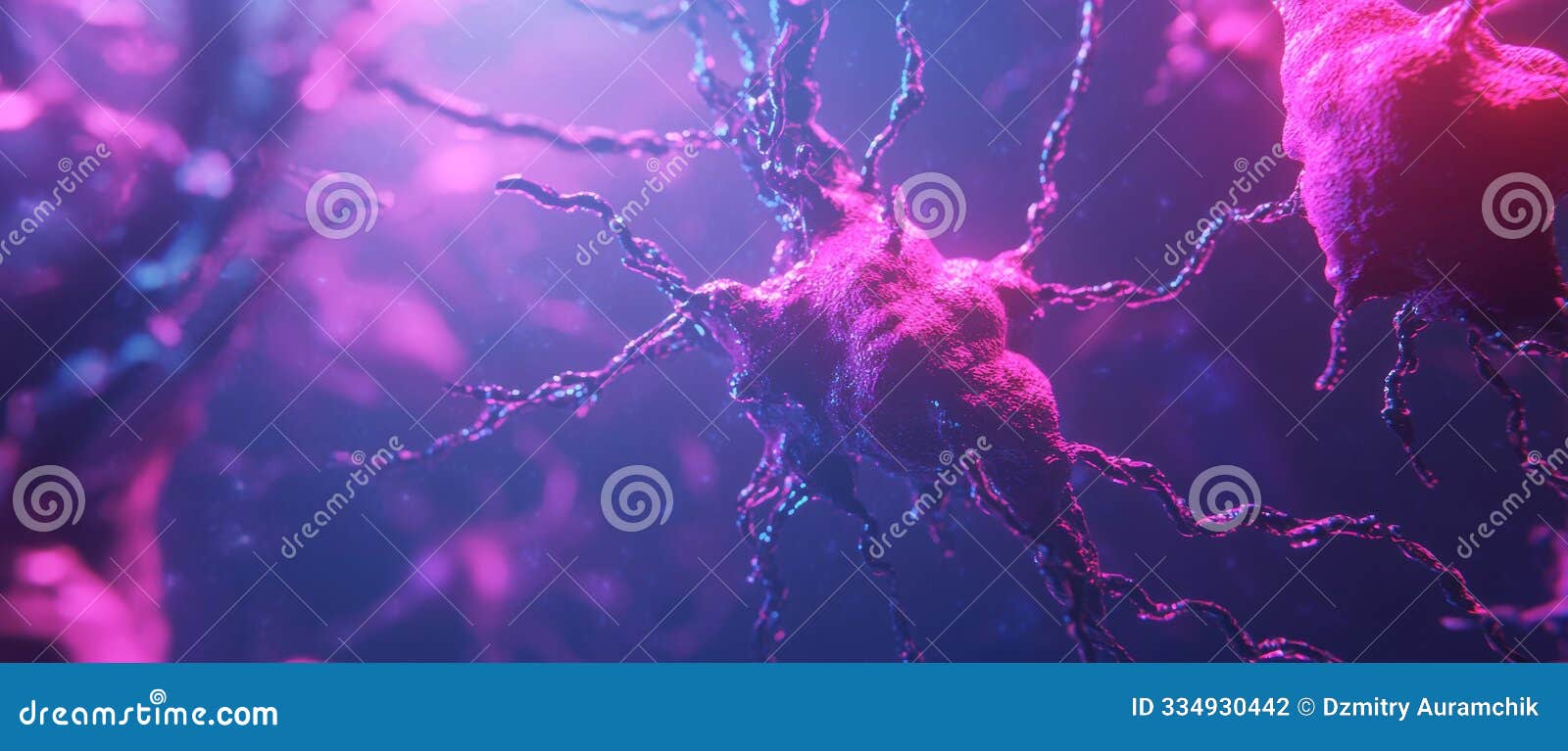 Visualization of a Nerve Cell Network Displaying Intricate Structures ...