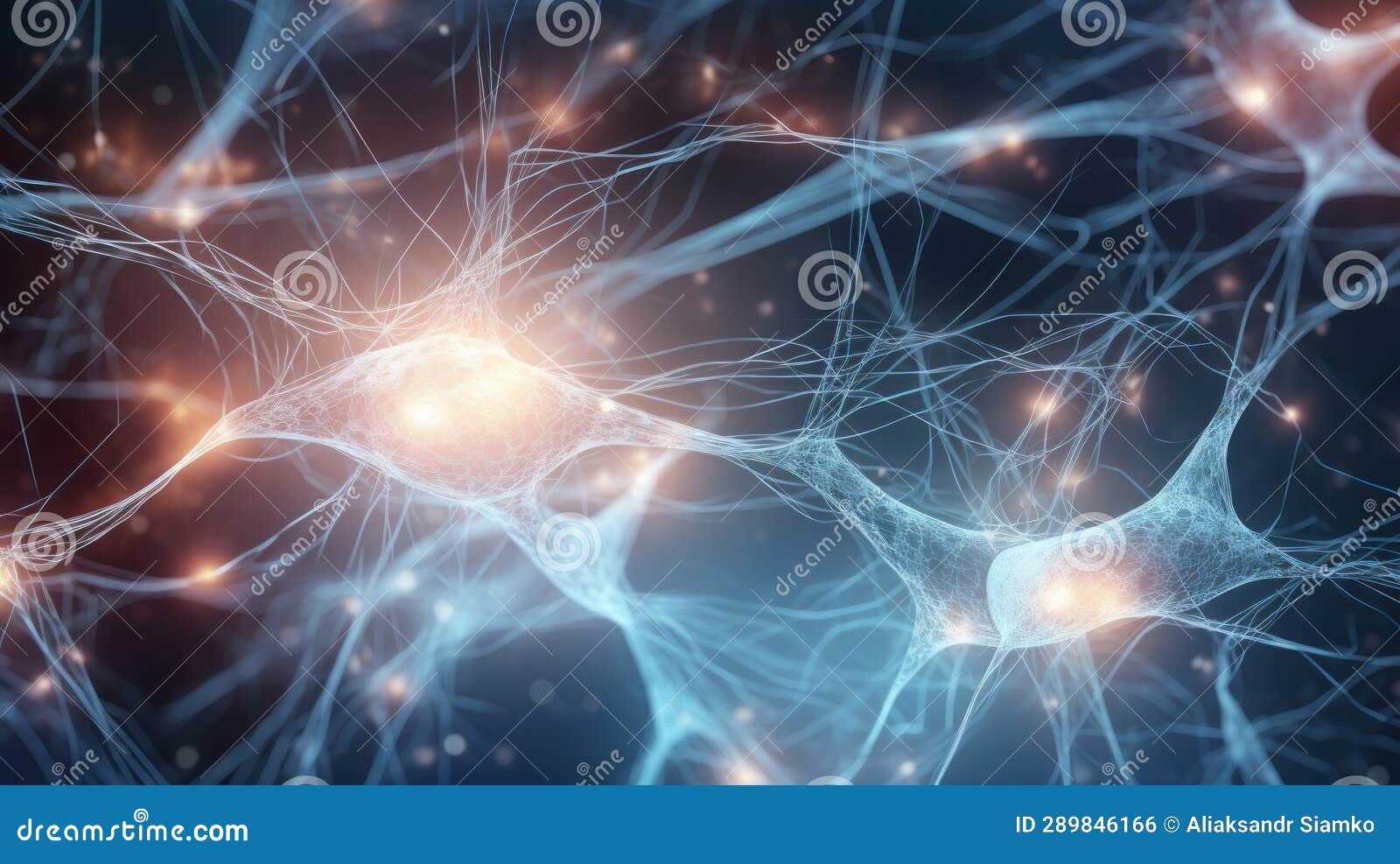 Visualization of Neural Connections in the Brain, Unveiling a Complex ...