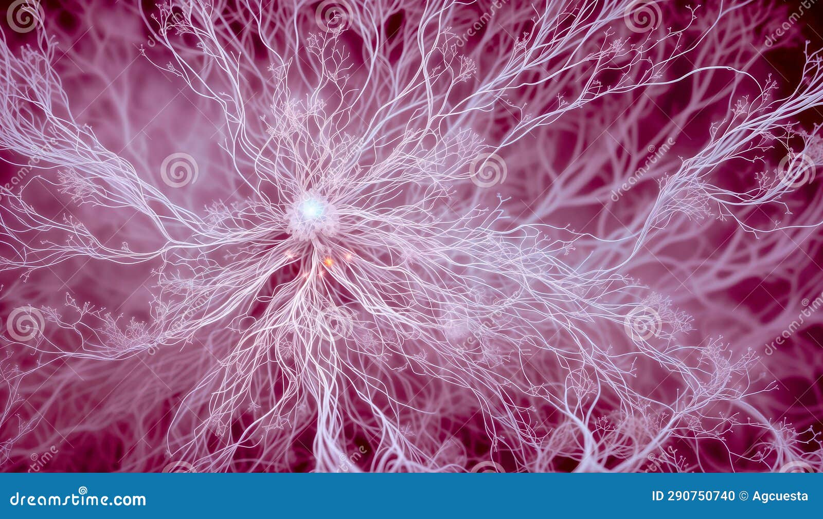 Nerve Cell Under Electron Microscope