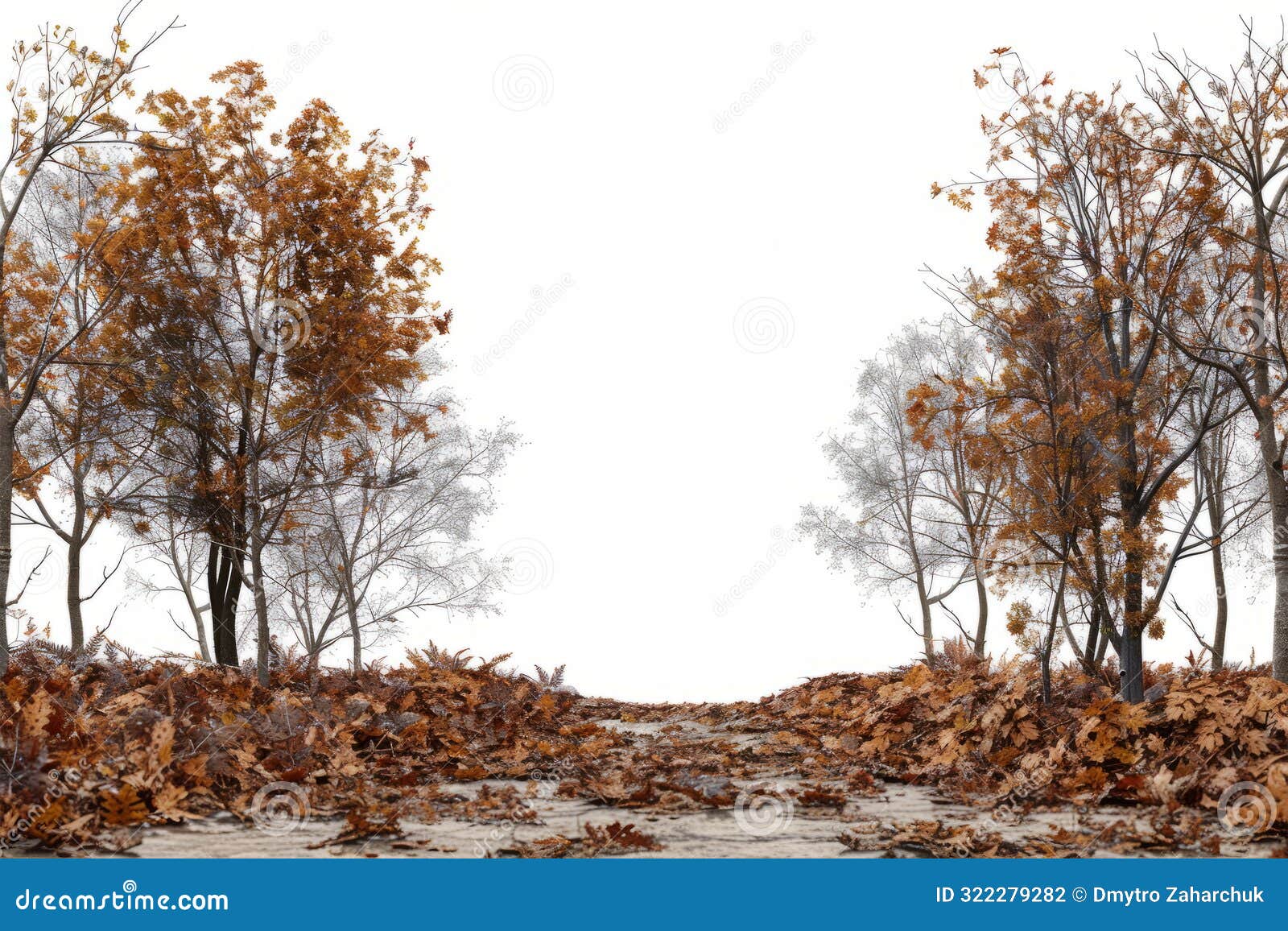 Visualization of an Oak Forest Floor in Autumn, Rich Textures of Fallen ...