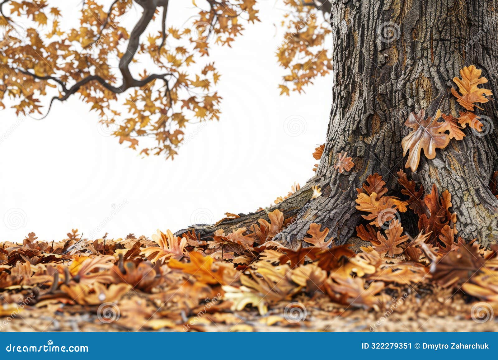 Visualization of an Oak Forest Floor in Autumn, Rich Textures of Fallen ...