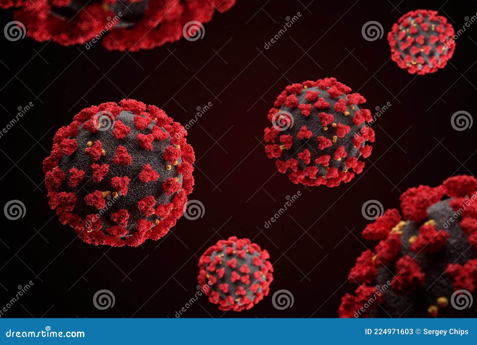 Visualization of the SARS-CoV-2 Virus COVID19. an Illustration of a ...