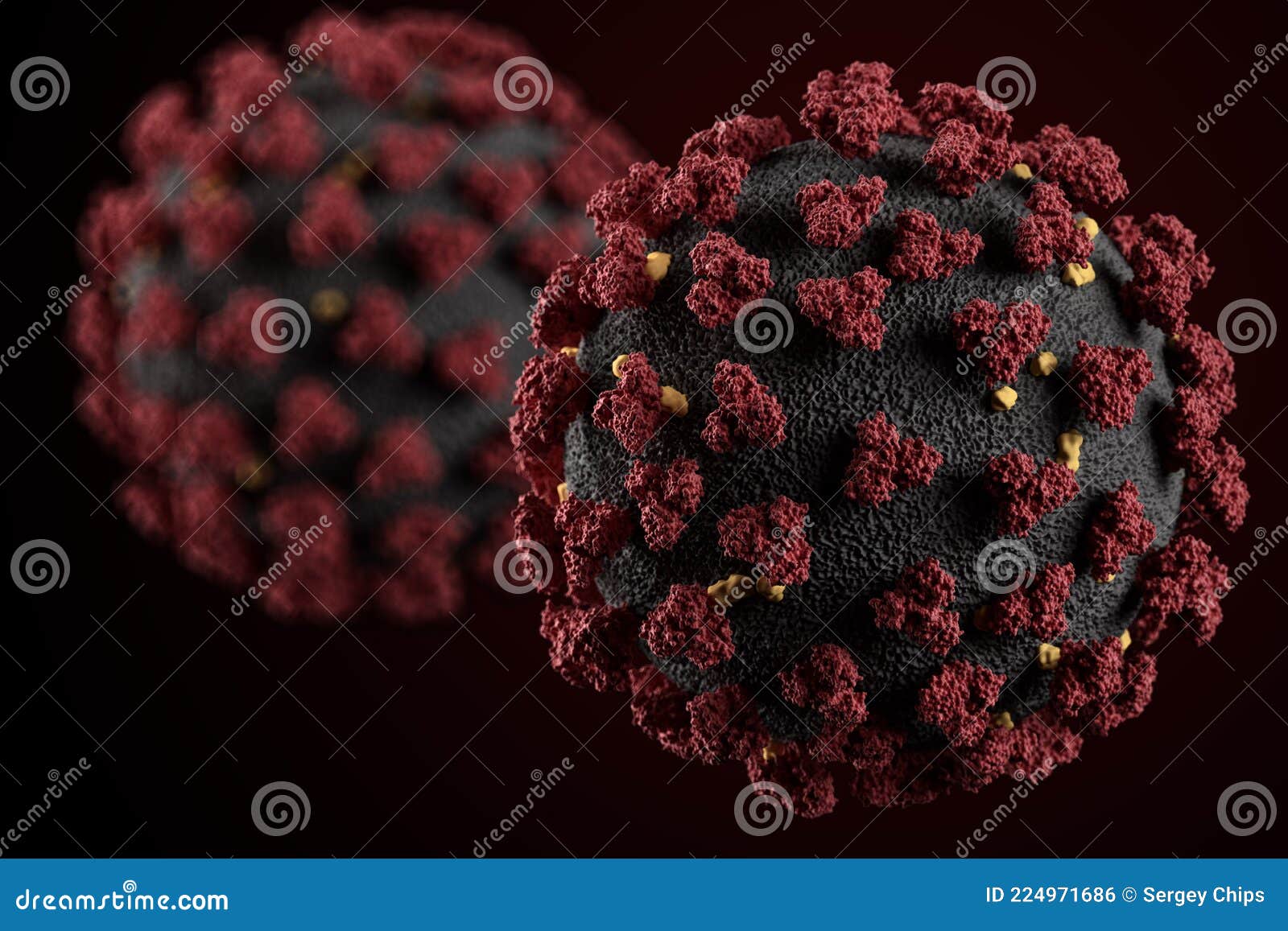 Visualization of the SARS-CoV-2 Virus COVID19. an Illustration of a ...
