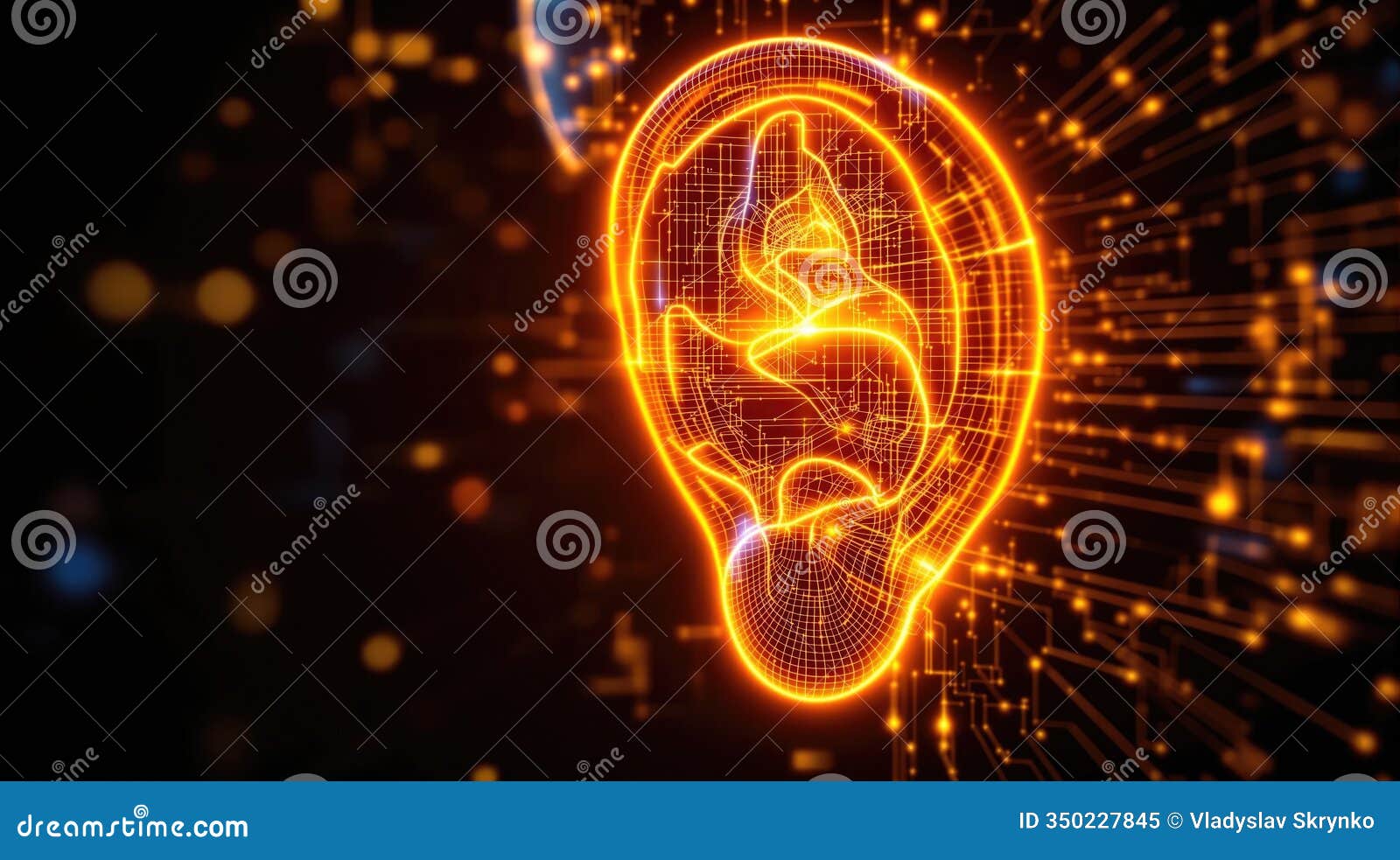 Visualization of Sound Waves and Auditory Processing with a Neon Ear ...