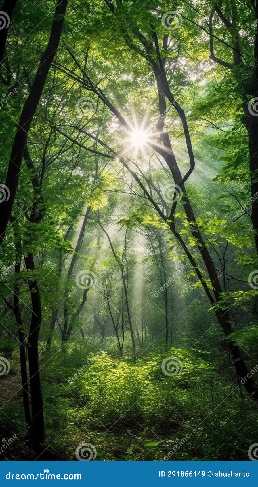 Beautiful Rays of Sunlight in a Green Forest Stock Illustration ...