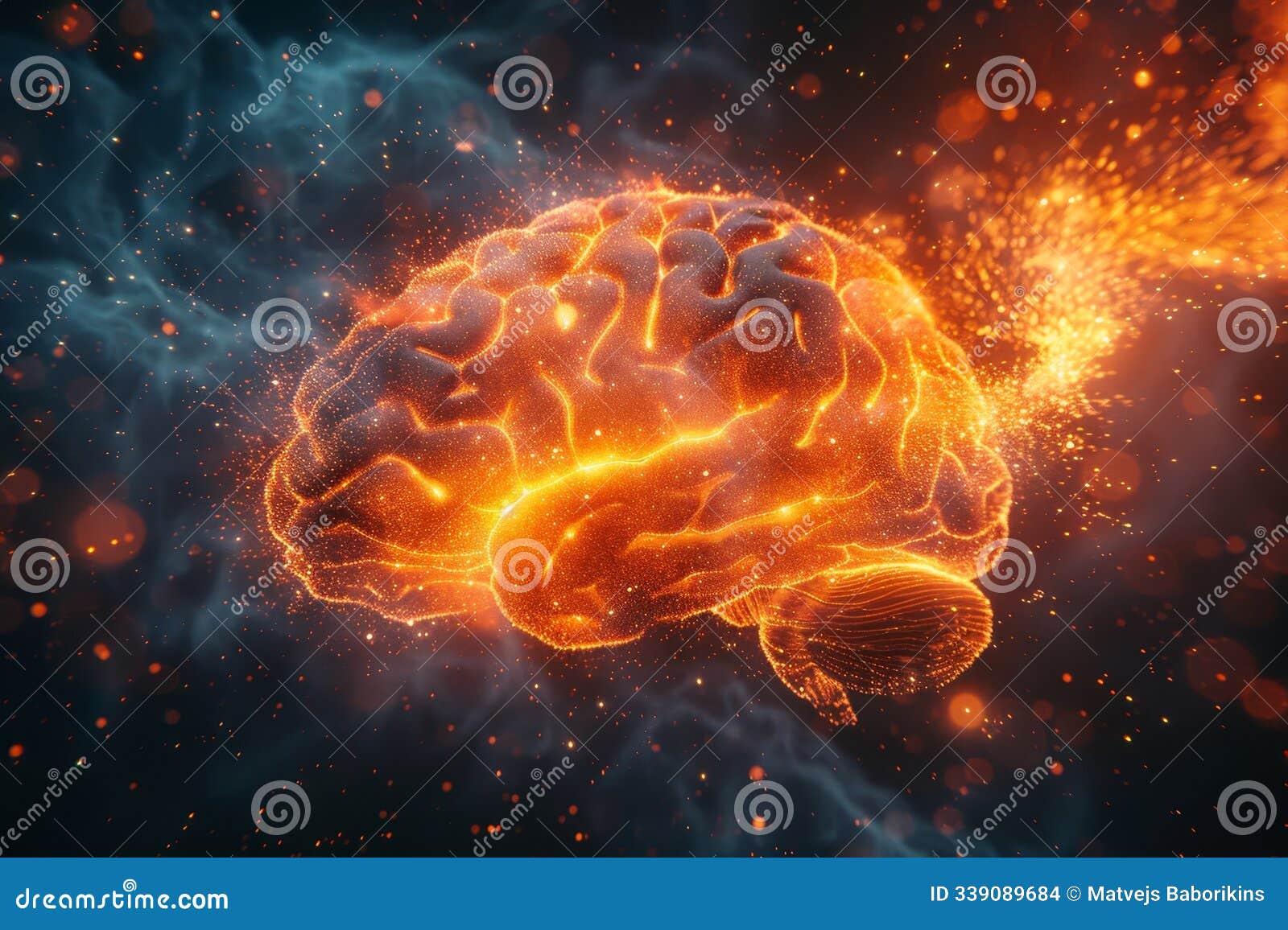 Visualizing Electrical Signals In The Nervous System A Detailed ...