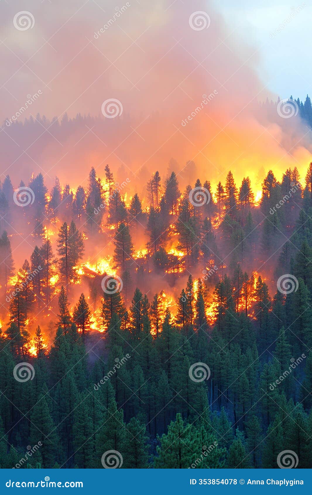 Visuals of Forest Fire Prevention Efforts in Action during a Wildfire ...