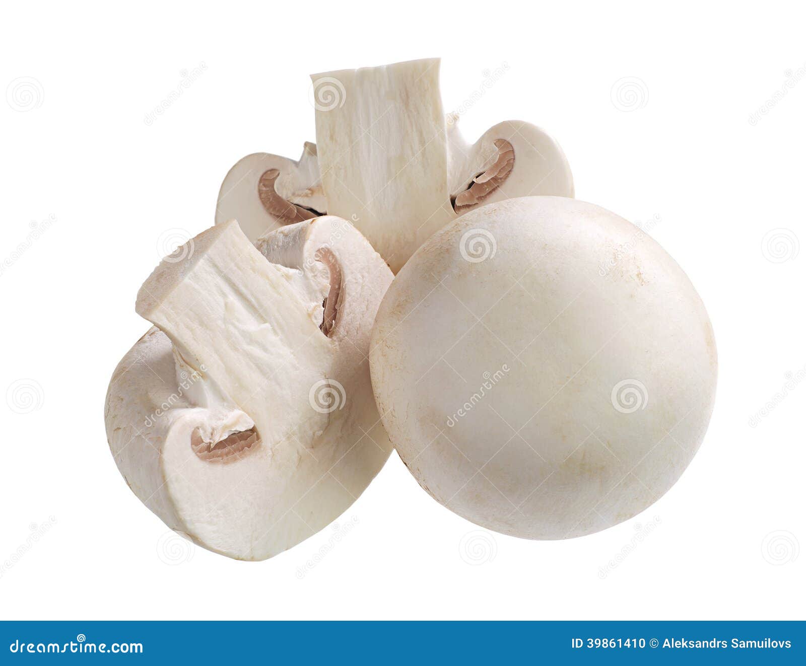 Vit champinjon arkivfoto. Bild av ätligt, stängning, gourmet - 39861410