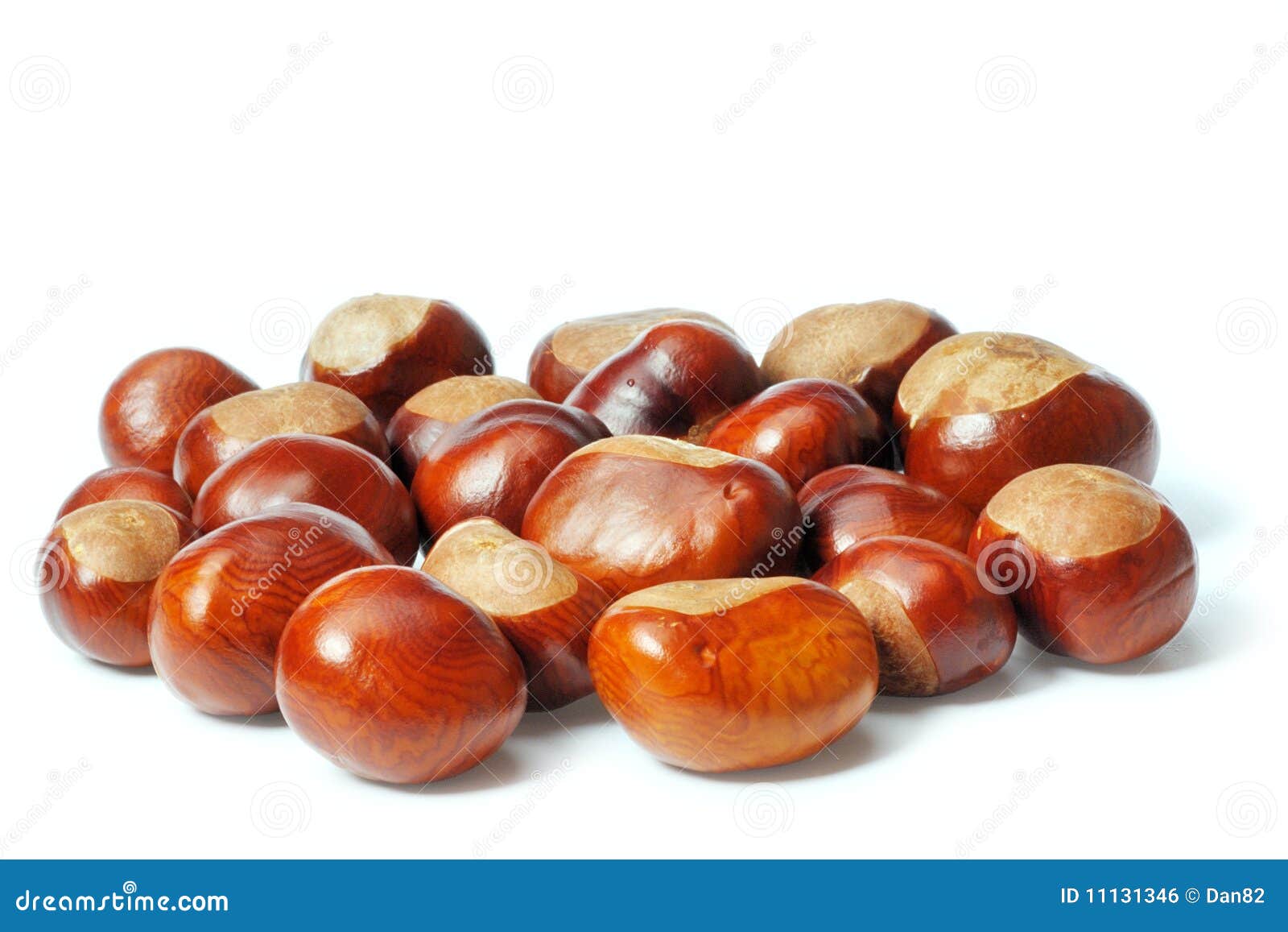Vita kastanjer arkivfoto. Bild av vitt, isolerat, höst - 11131346