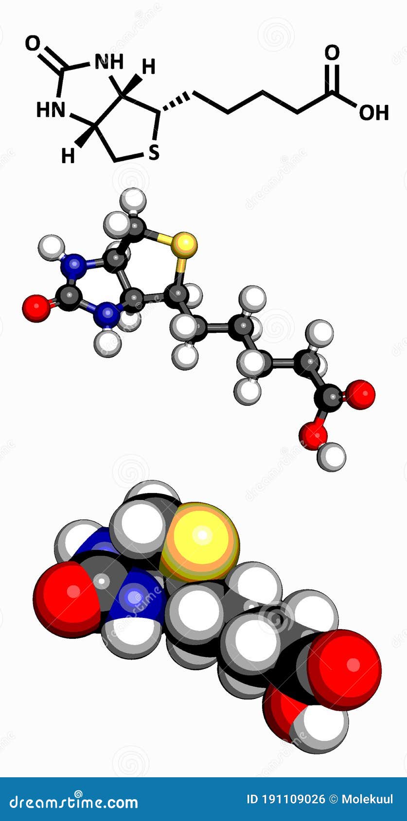 Biocytin Cartoons, Illustrations & Vector Stock Images - 16 Pictures to ...