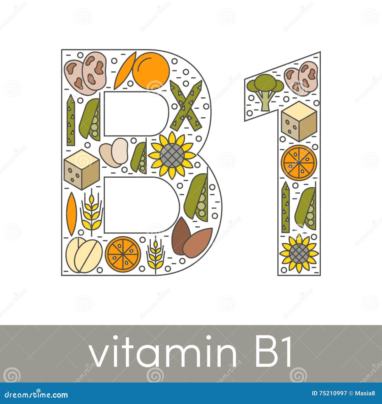 Vitamin B1 stock illustration. Illustration of flat, beans - 75210997