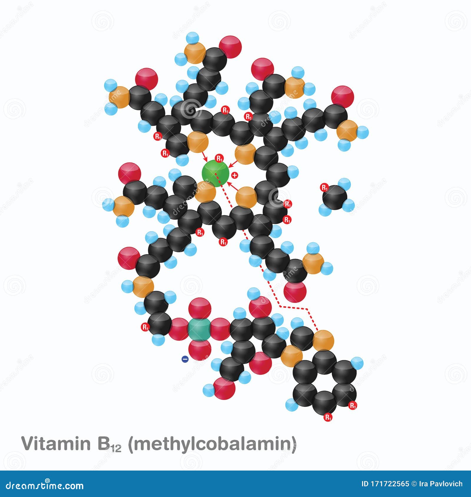 Vitamin B6, Vitamers, Chemical Formulas And Structures Cartoon Vector ...
