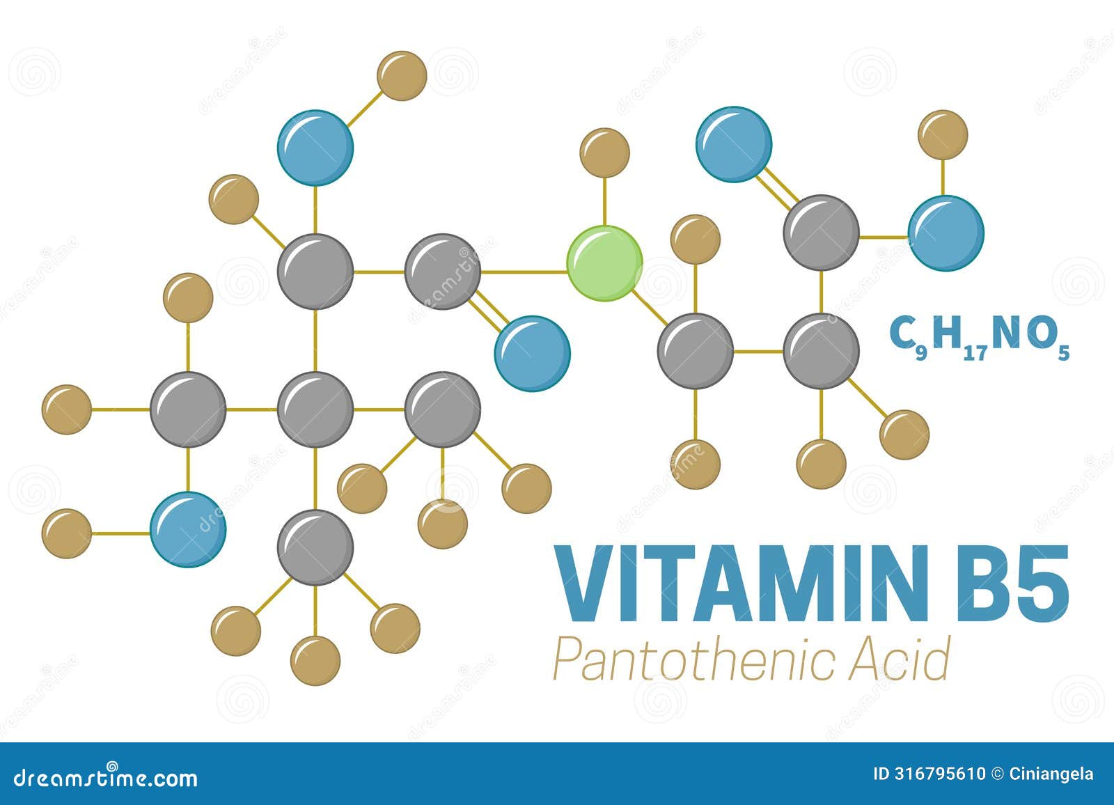 Vitamin B5 Pantothenic Acid Molecule Illustration Stock Vector ...