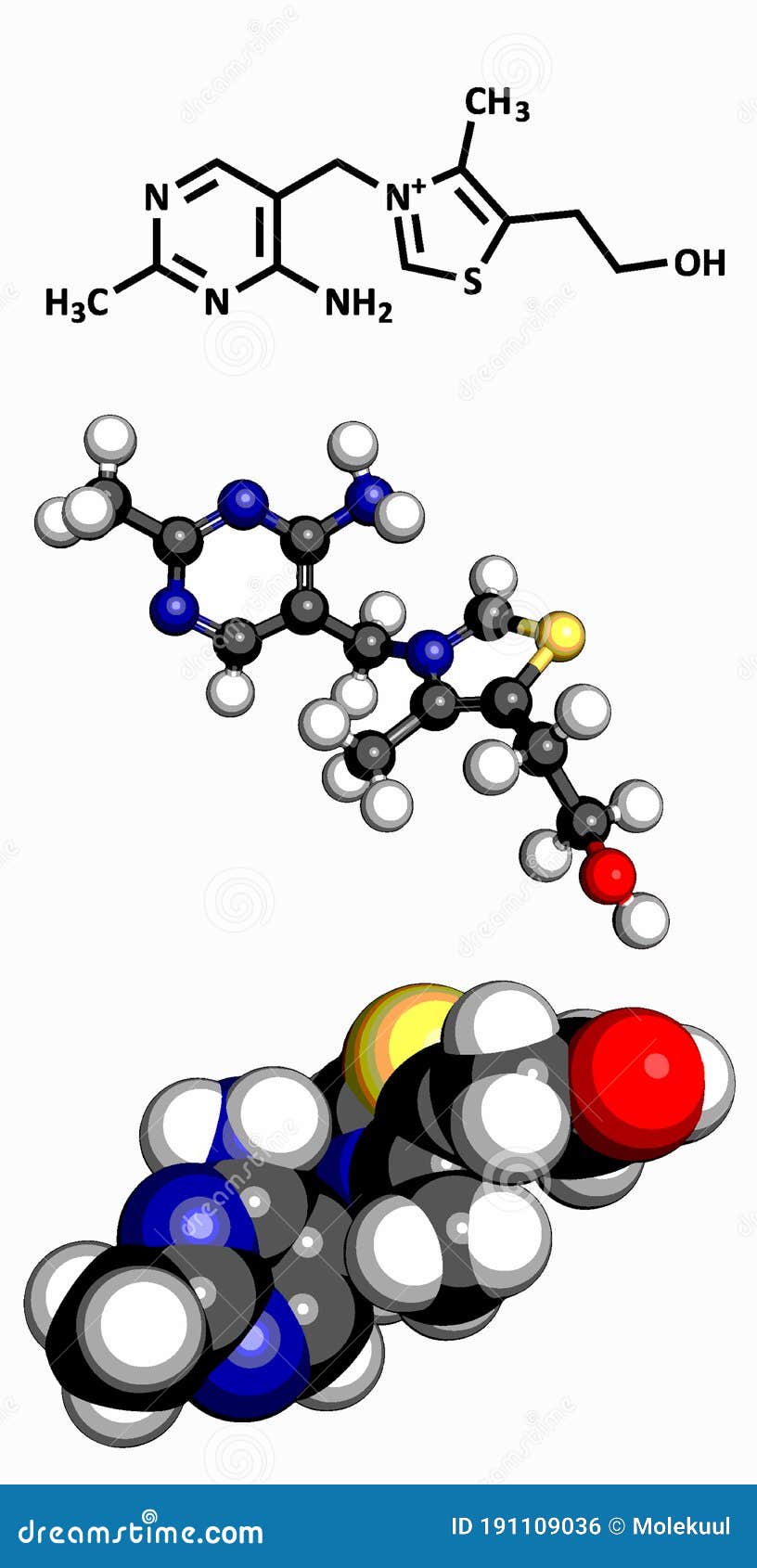 Thiamine Pyrophosphate, Molecular Structures, Thiamine Diphosphate, 3d ...