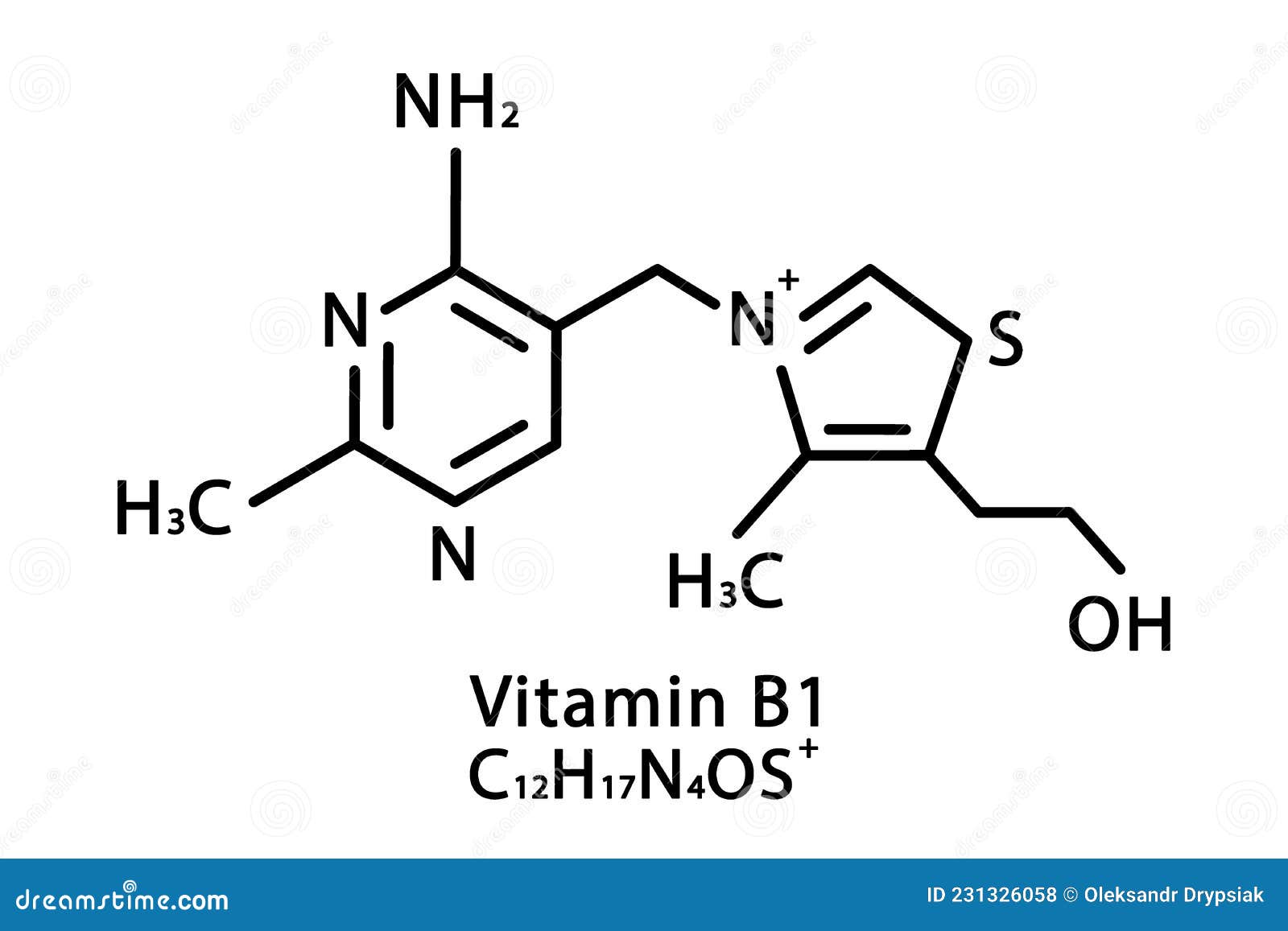 Vitamin B1 Thiamine Molecular Structure. Vitamin B1 Thiamine Skeletal ... Vitamin B1 Thiamine Molecular Structure. Vitamin B1 Thiamine Skeletal ...