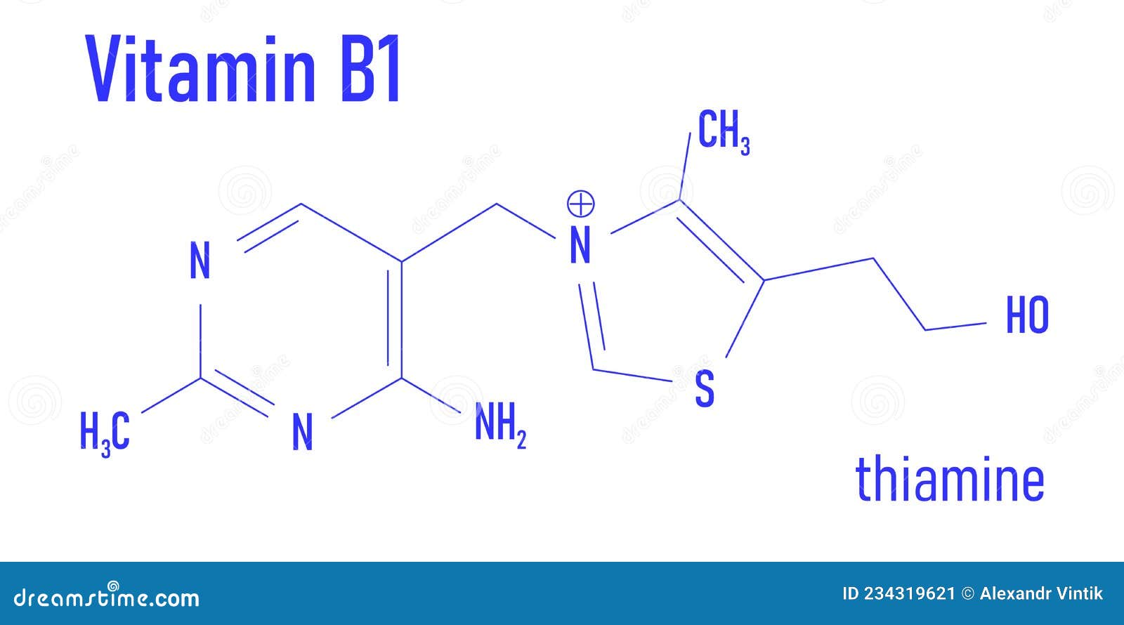 Vitamin B1 Thiamine Molecule. Skeletal Chemical Formula. Stock Vector ... Vitamin B1 Thiamine Molecule. Skeletal Chemical Formula. Stock Vector ...