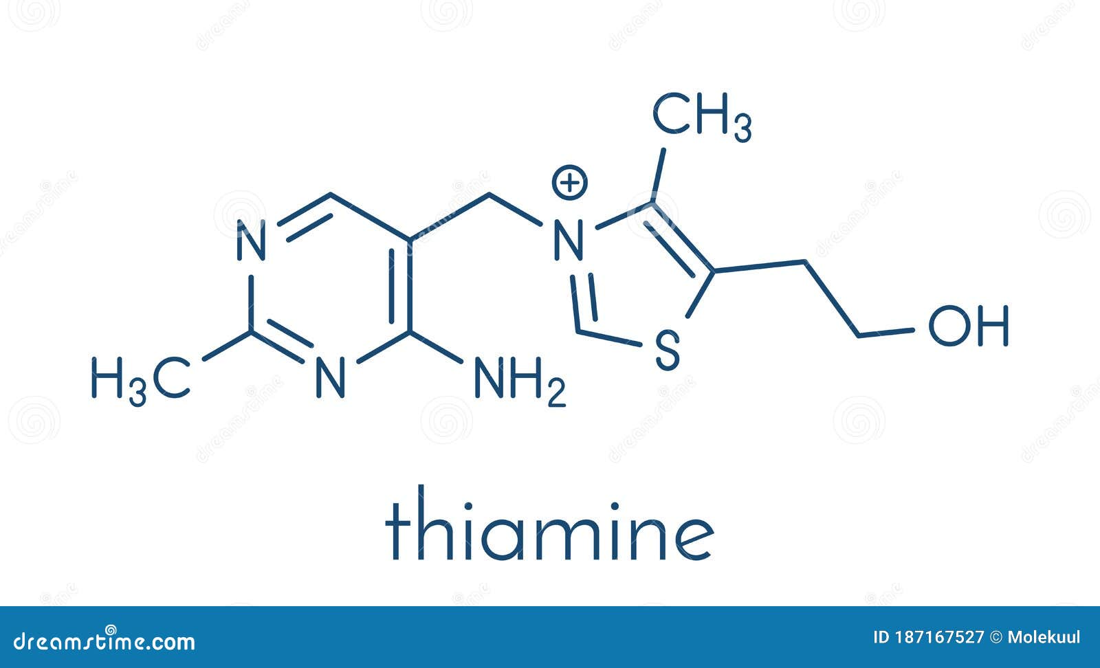 Vitamin B1 Thiamine Molecule. Skeletal Formula. Stock Vector ... Vitamin B1 Thiamine Molecule. Skeletal Formula. Stock Vector ...