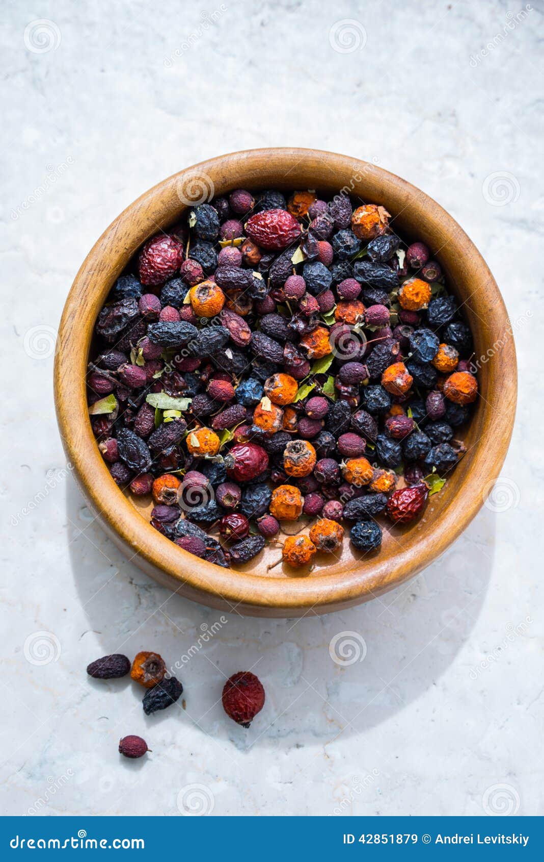 Vitamin berry collection stock image. Image of viburnum - 42851879