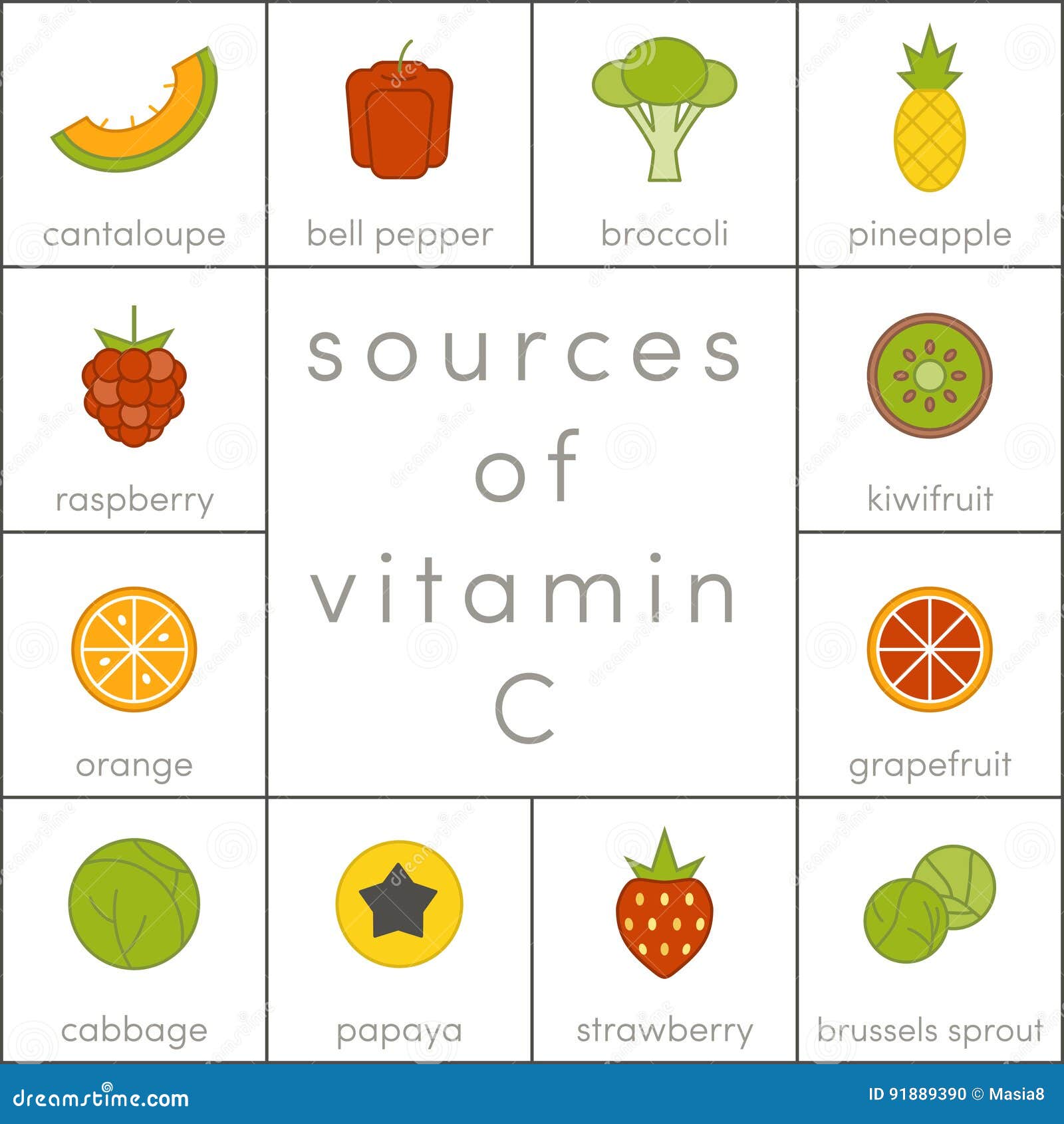 Vitamin C stock illustration. Illustration of diet, cantaloupe - 91889390