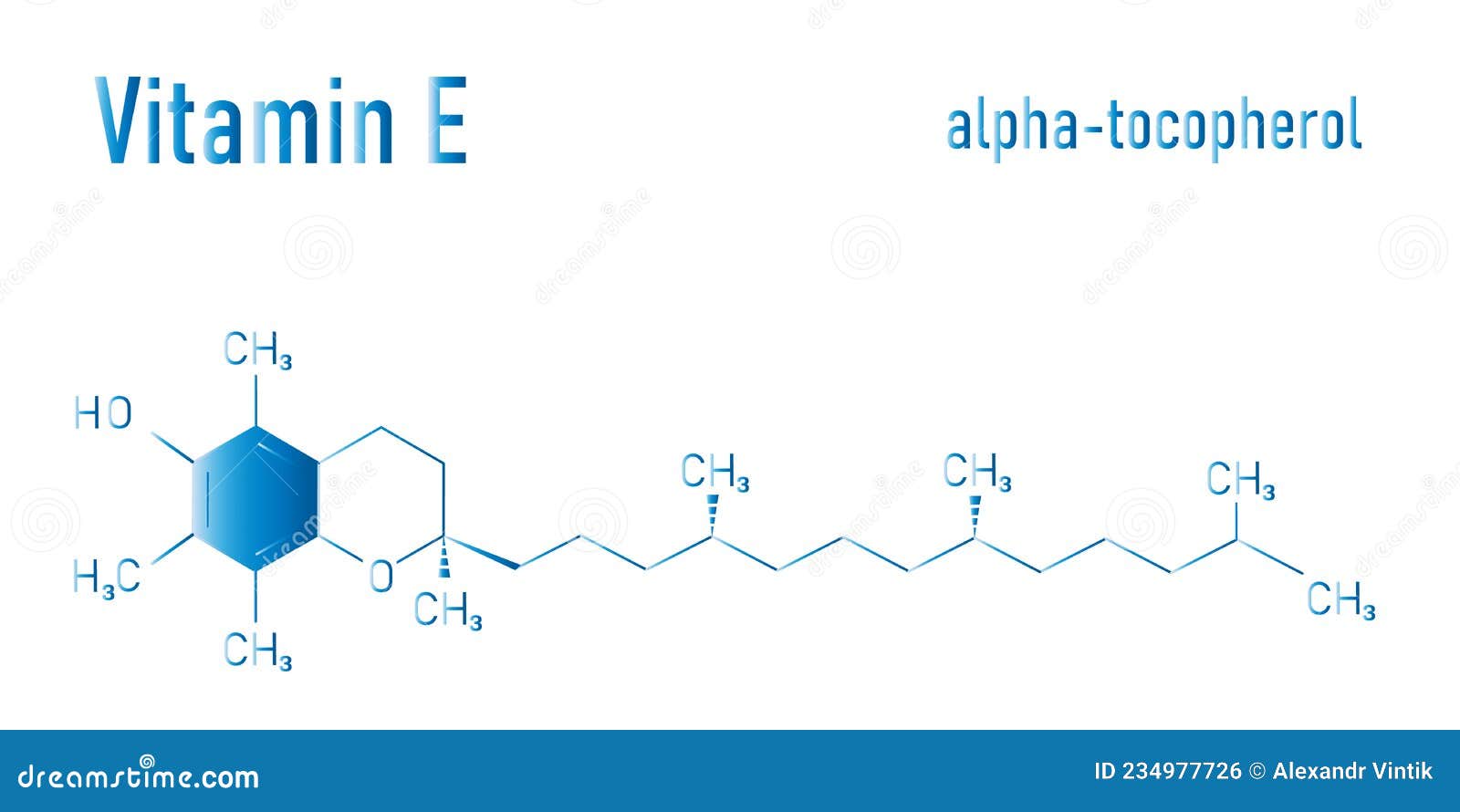 Vitamin E Alpha Tocopherol Molecule. Skeletal Formula Stock Photography ... Vitamin E Alpha Tocopherol Molecule. Skeletal Formula Stock Photography ...