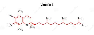 Vitamin E Structural Formula of Molecular Structure Stock Vector ...