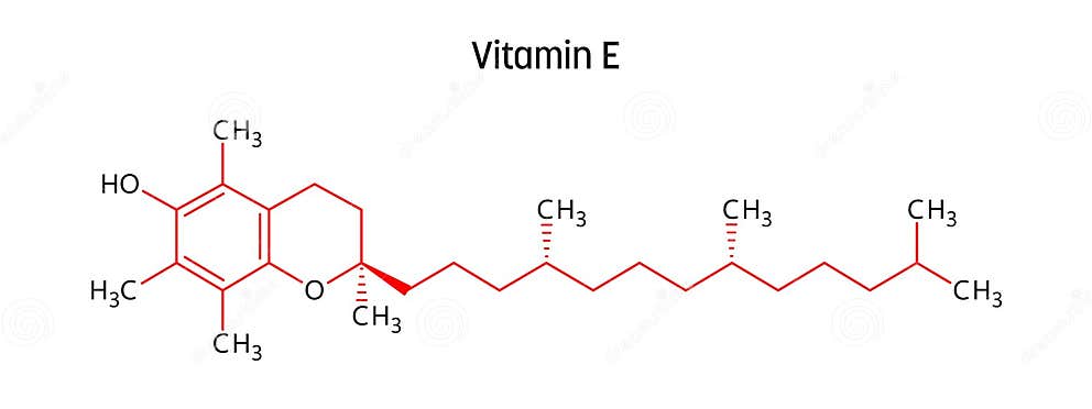 Vitamin E Structural Formula of Molecular Structure Stock Vector ...