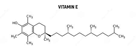 Vitamin E Structural Formula of Molecular Structure Stock Vector ...