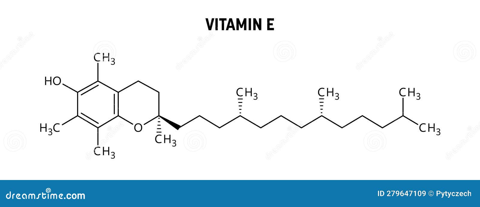 Vitamin E Structural Formula of Molecular Structure Stock Illustration ...