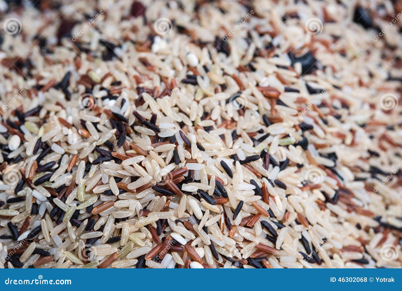 Vitamin rice stock photo. Image of jasmine, mixed, background - 46302068