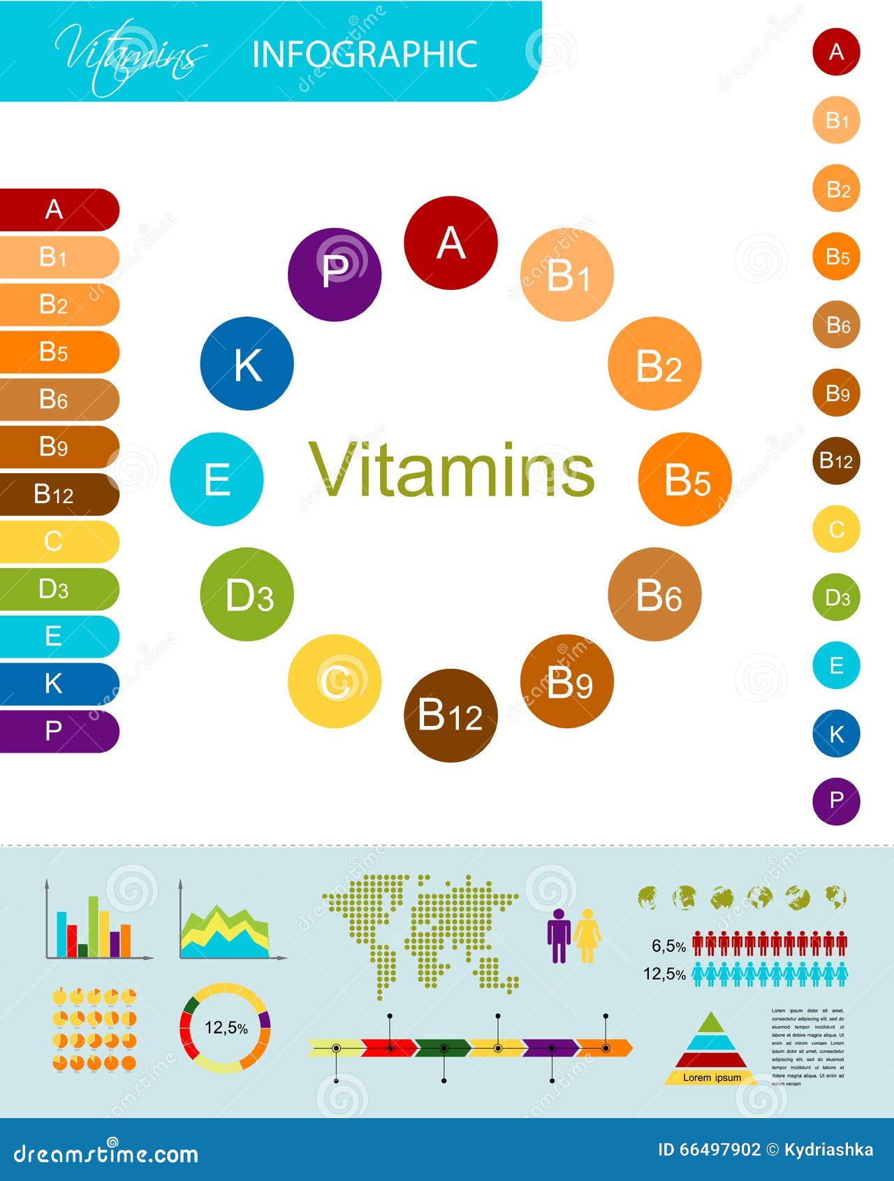 Vitamins Infographic for Your Design Stock Vector - Illustration of ...