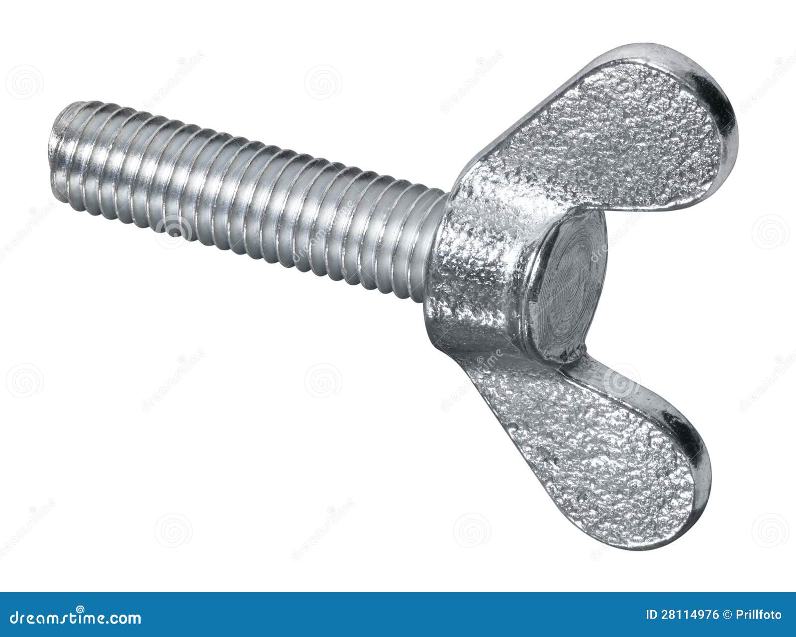 Vite con testa zigrinata fotografia stock. Immagine di mano - 28114976