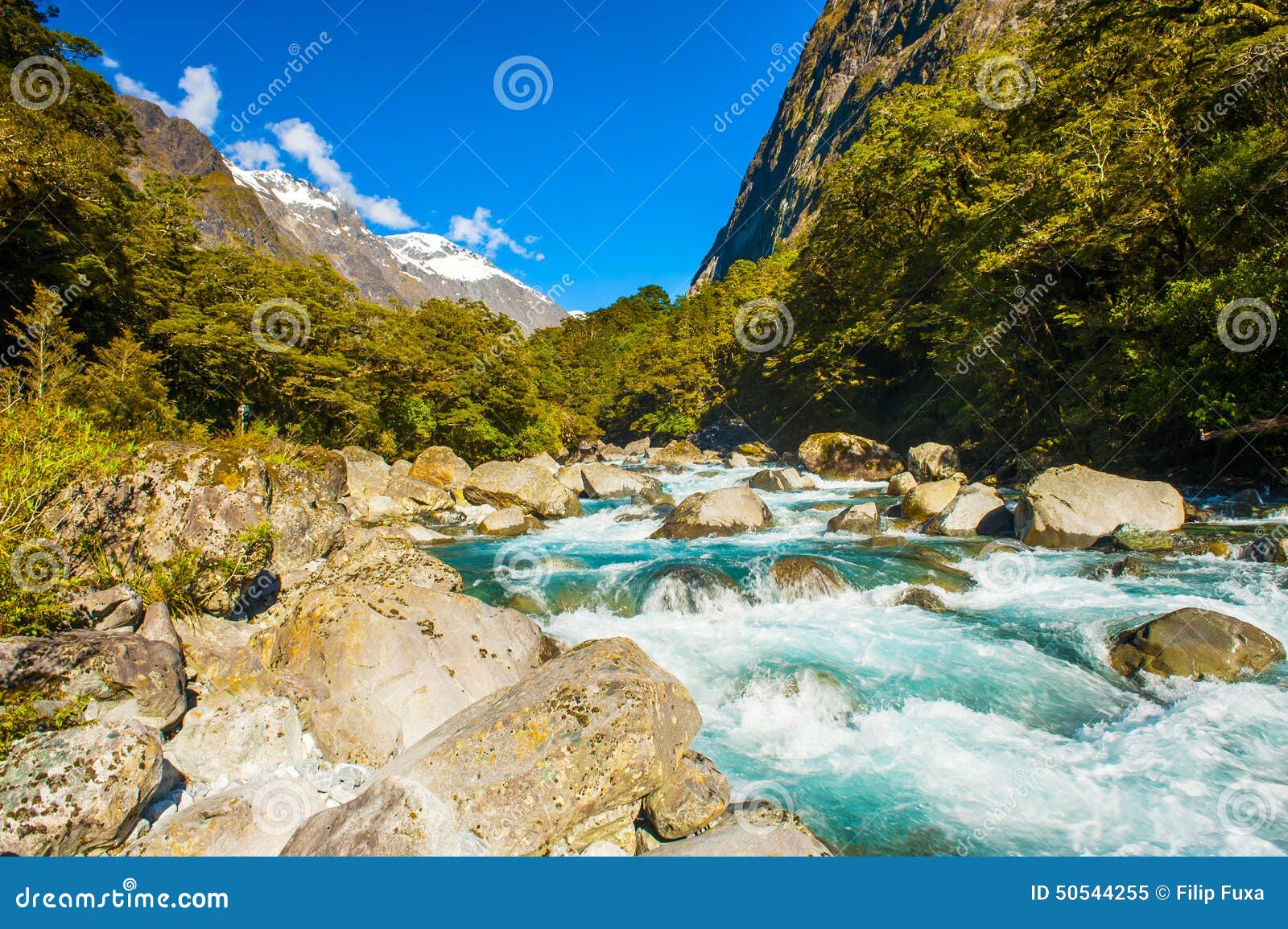 Viti 库存图片. 图片 包括有 场景, 自然, 绿色, 颜色, 绿松石, 不透明, 破火山口, 来回 - 50544255