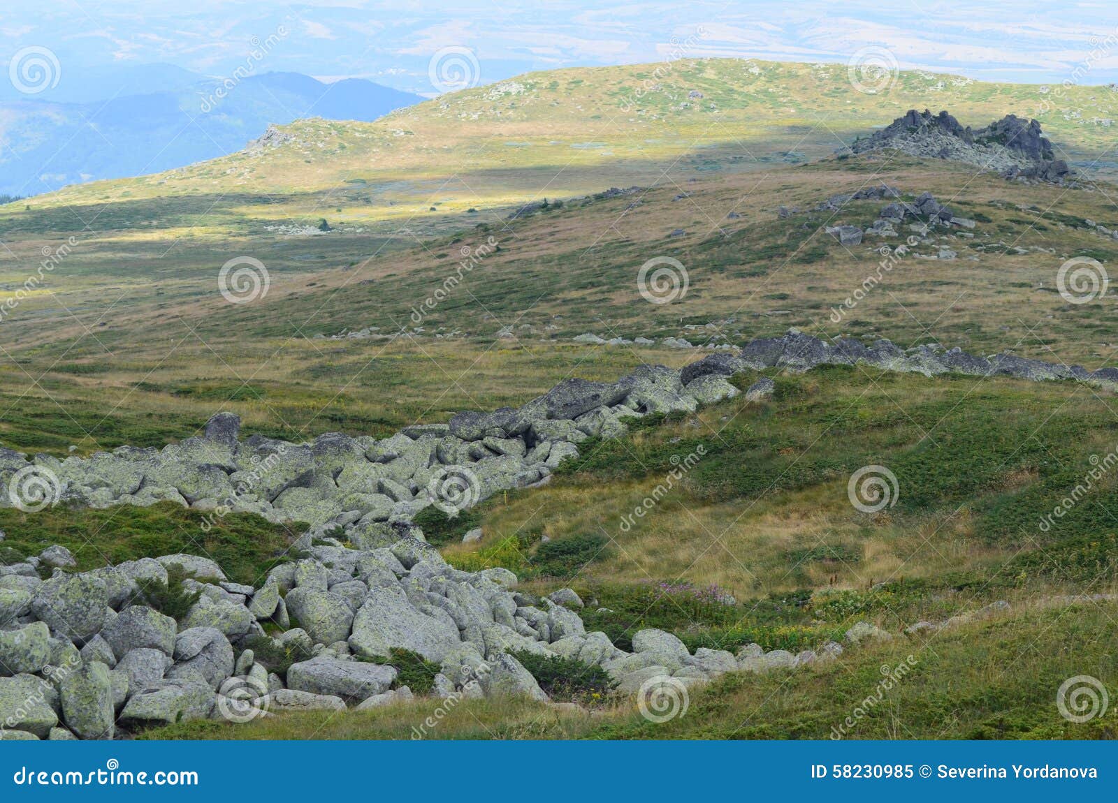 Vitosha mountain stock image. Image of paths, trees, hill - 58230985
