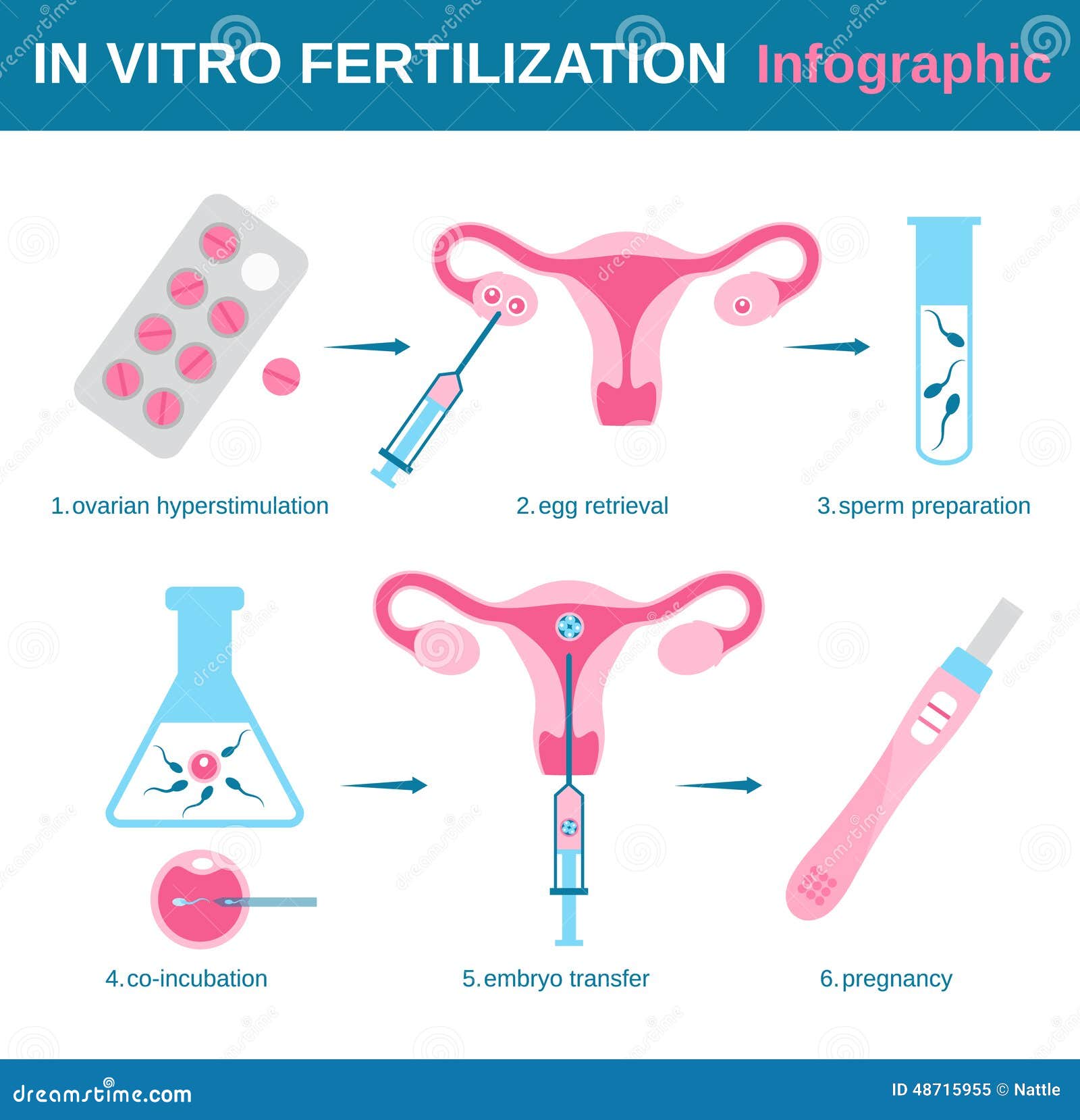 In vitro ilustración del vector. Ilustración de medicina - 48715955