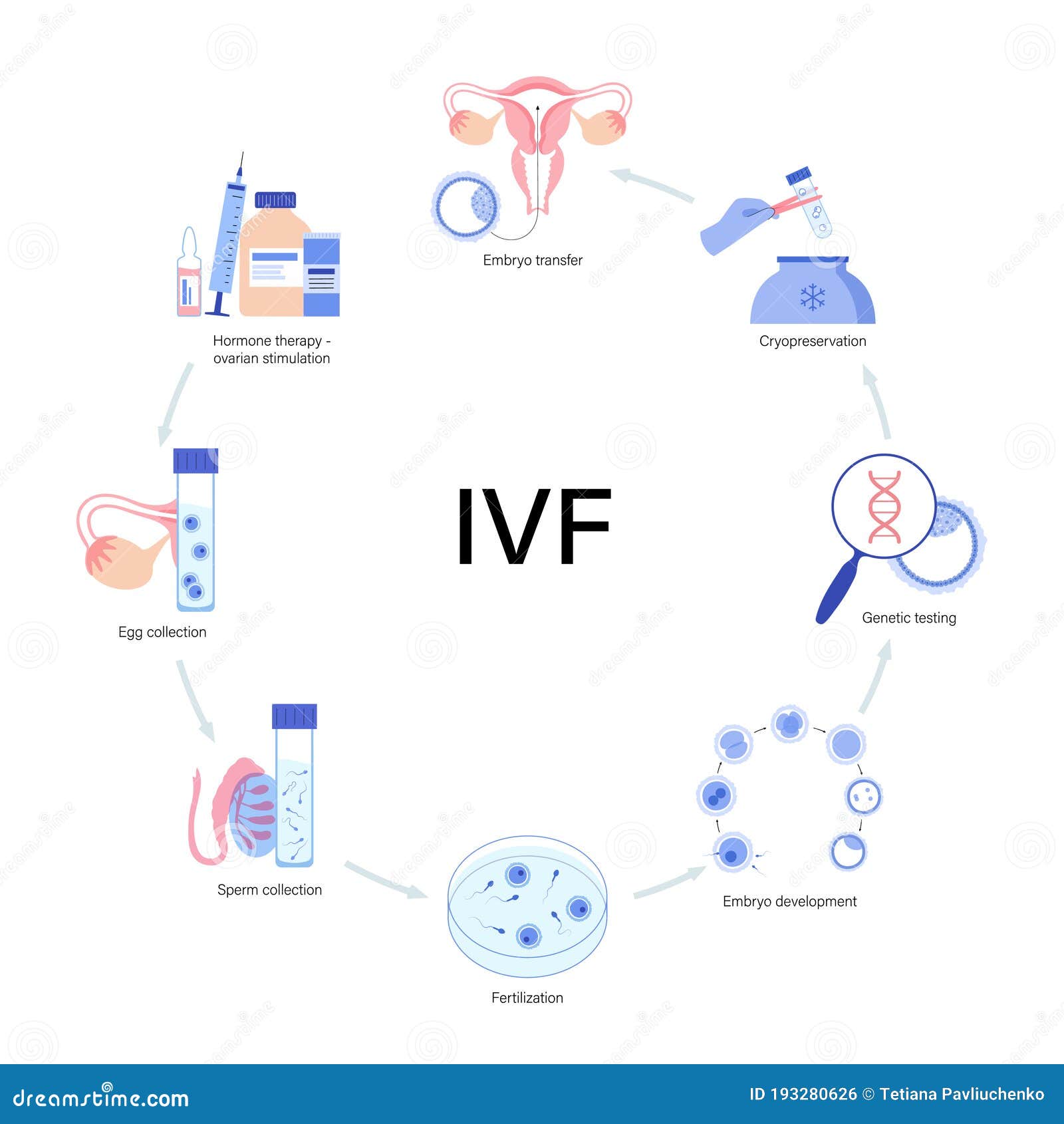 IVF vector illustration stock vector. Illustration of icon - 193280626