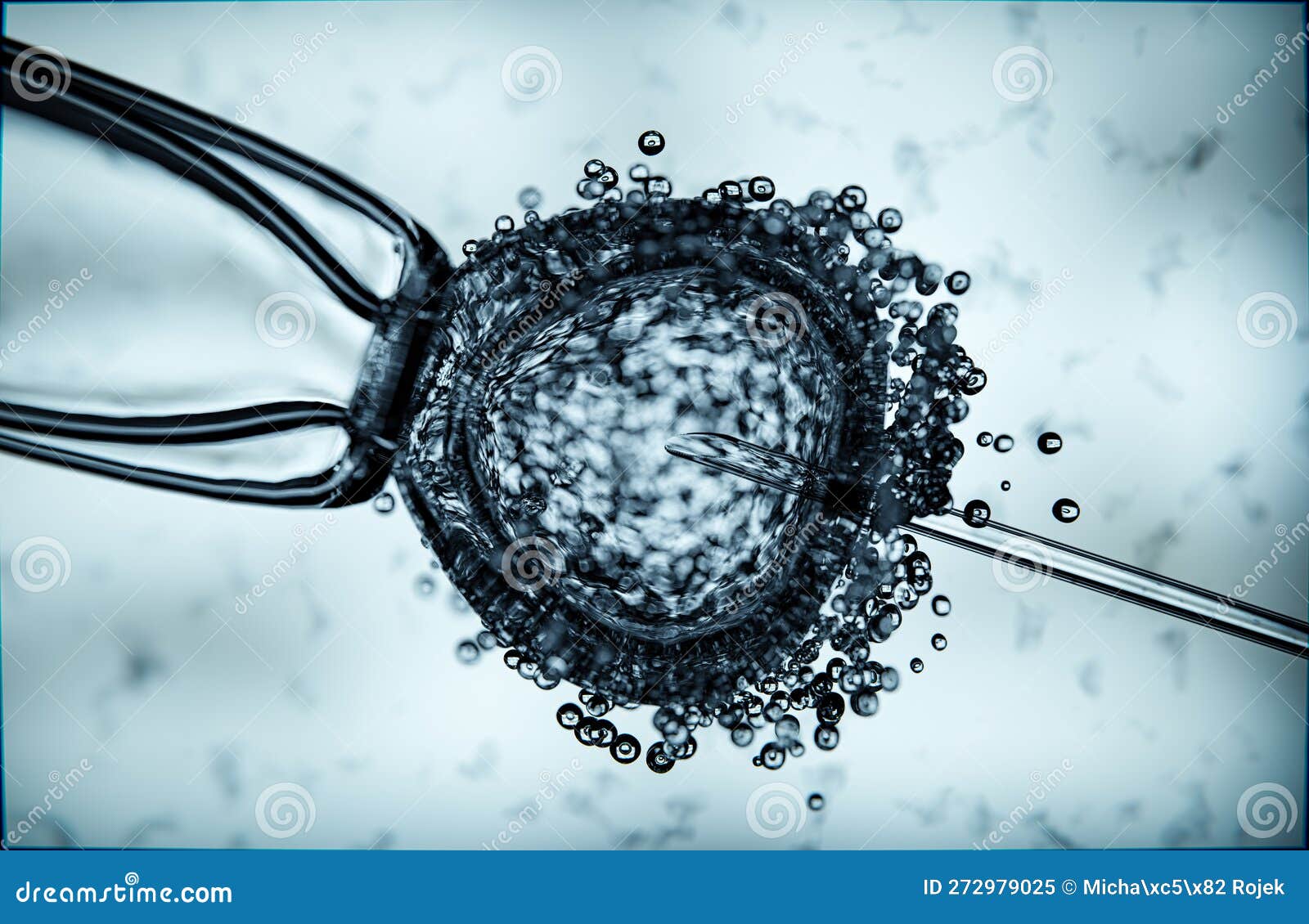 In Vitro Fertilization with Intracytoplasmic Sperm Injection Stock ...