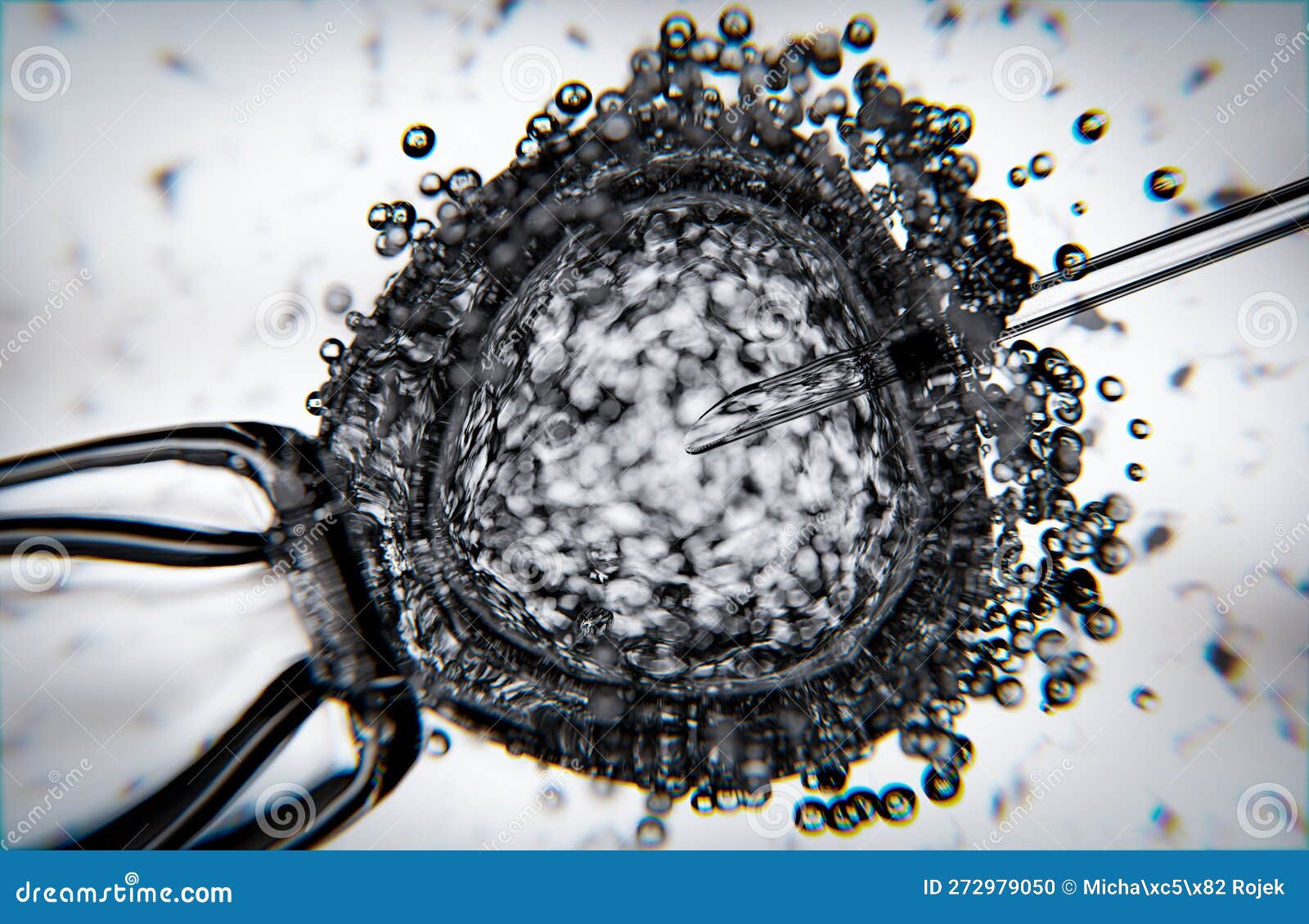 In Vitro Fertilization with Intracytoplasmic Sperm Injection Stock ...