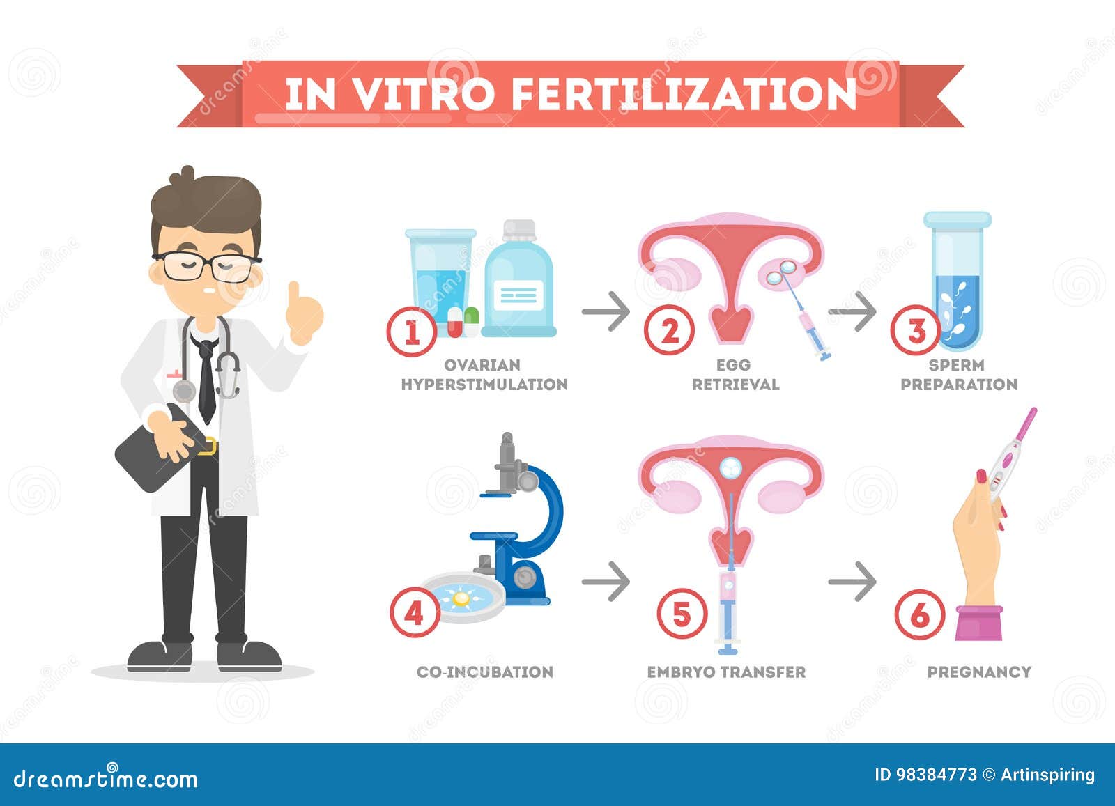 Infographic In Vitro Fertilization Vector Illustration | CartoonDealer ... Infographic In Vitro Fertilization Vector Illustration | CartoonDealer ...