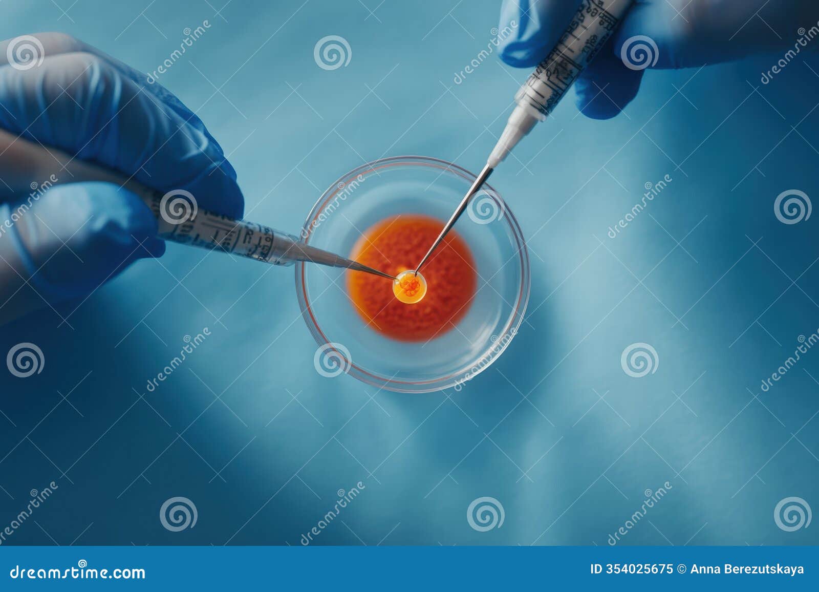 In-vitro Fertilization Procedure with Laboratory Instruments on Embryo ...
