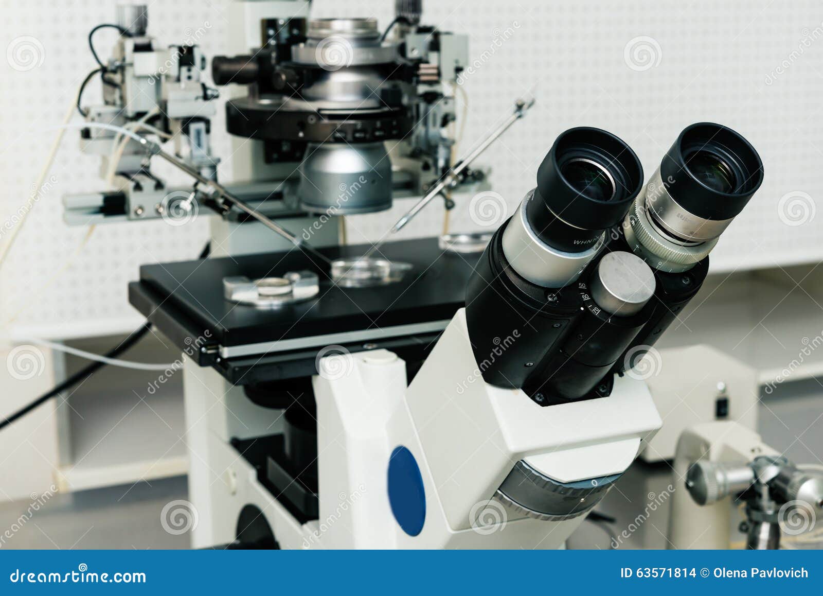 In Vitro Fertilization Process Close Up. Equipment on Laboratory of ...