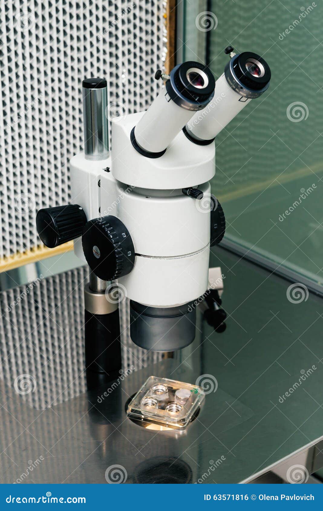 In Vitro Fertilization Process Close Up. Equipment on Laboratory of ...