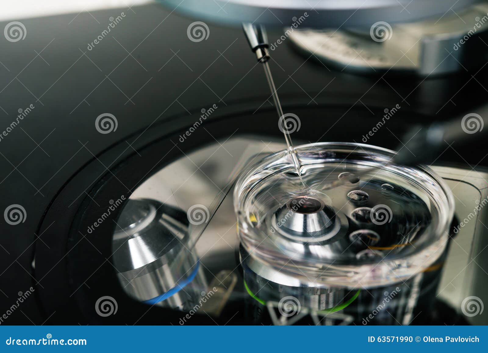 In Vitro Fertilization Process Close Up. Equipment on Laboratory of ...