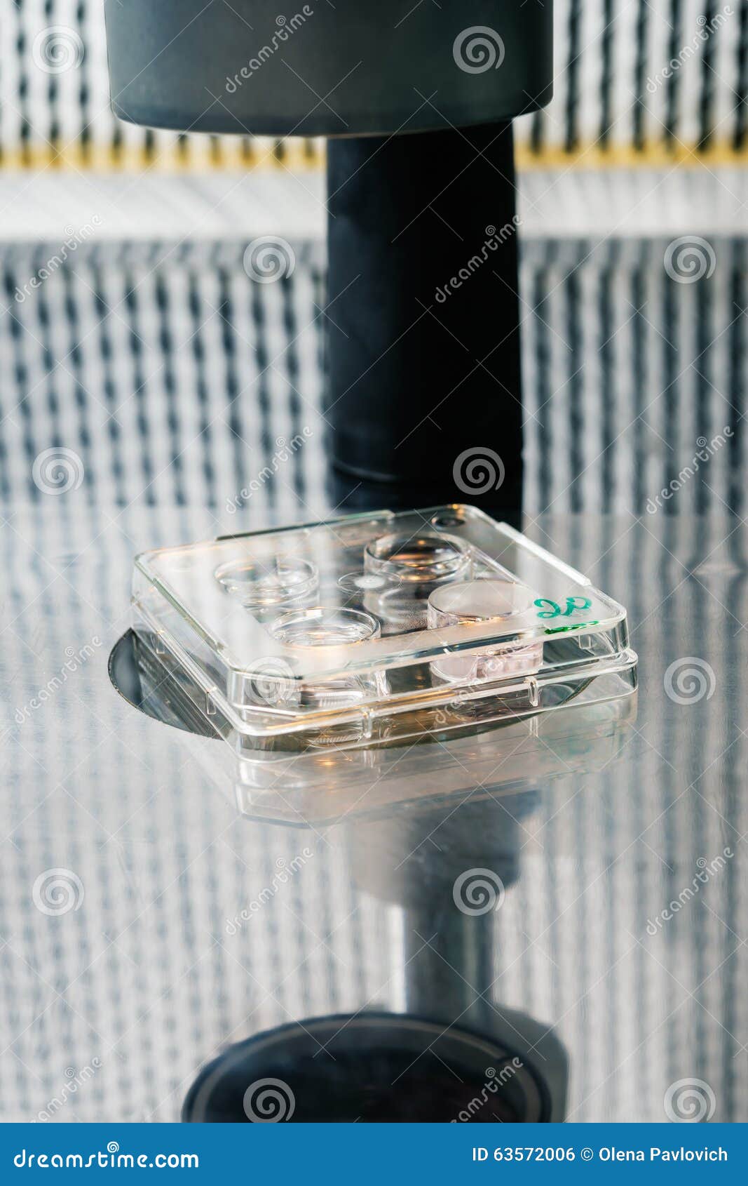 In Vitro Fertilization Process Close Up. Equipment on Laboratory of ...