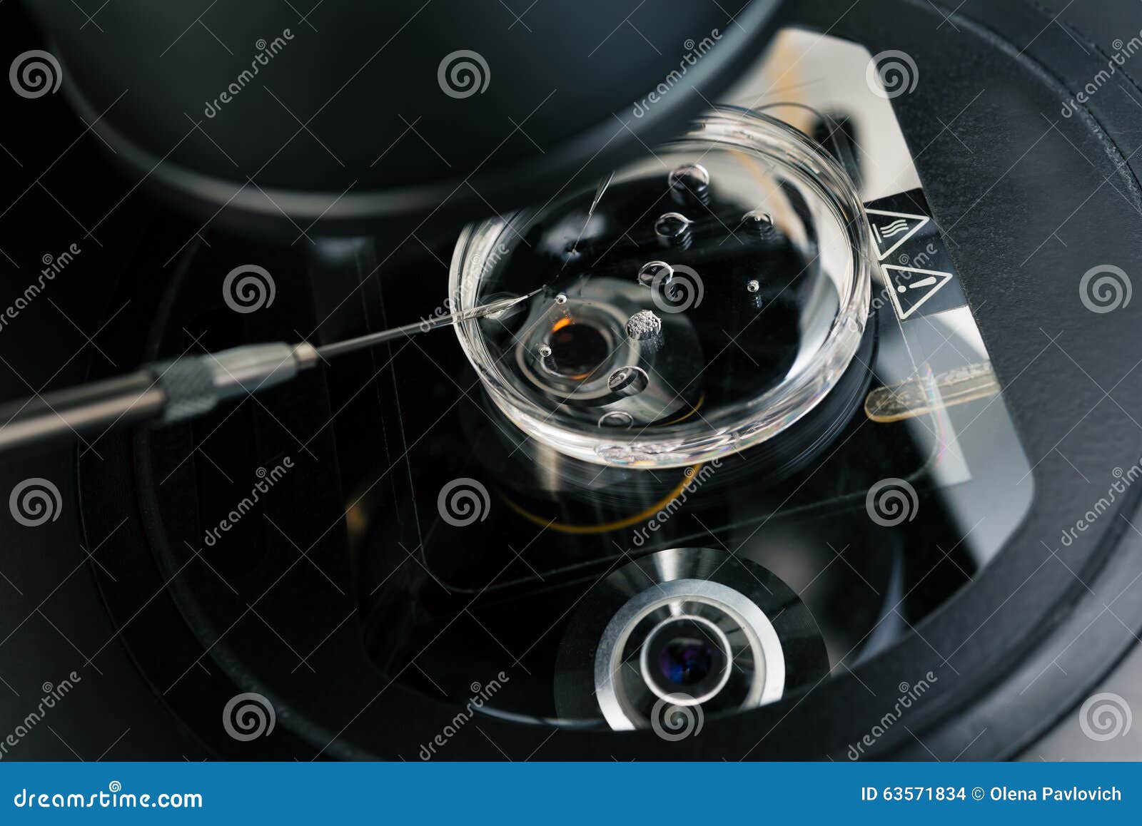 In Vitro Fertilization Process Close Up. Equipment on Laboratory of ...