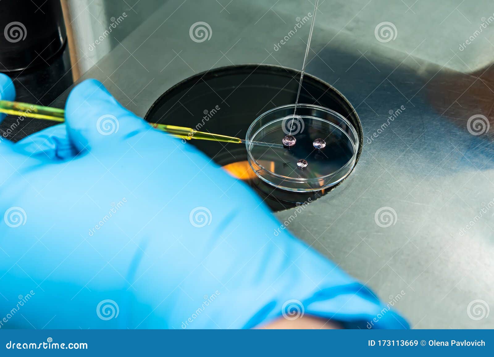 In Vitro Fertilization Process Stock Image - Image of equipment ...