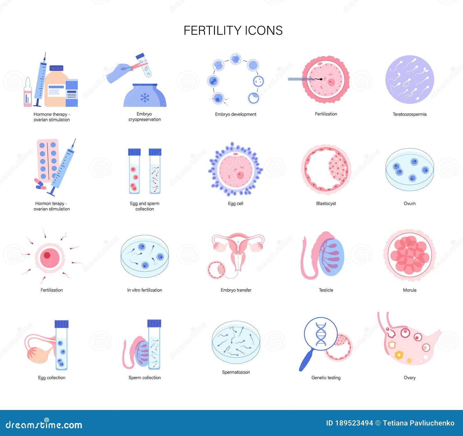 Reproductive System Concept Stock Vector - Illustration of health ...