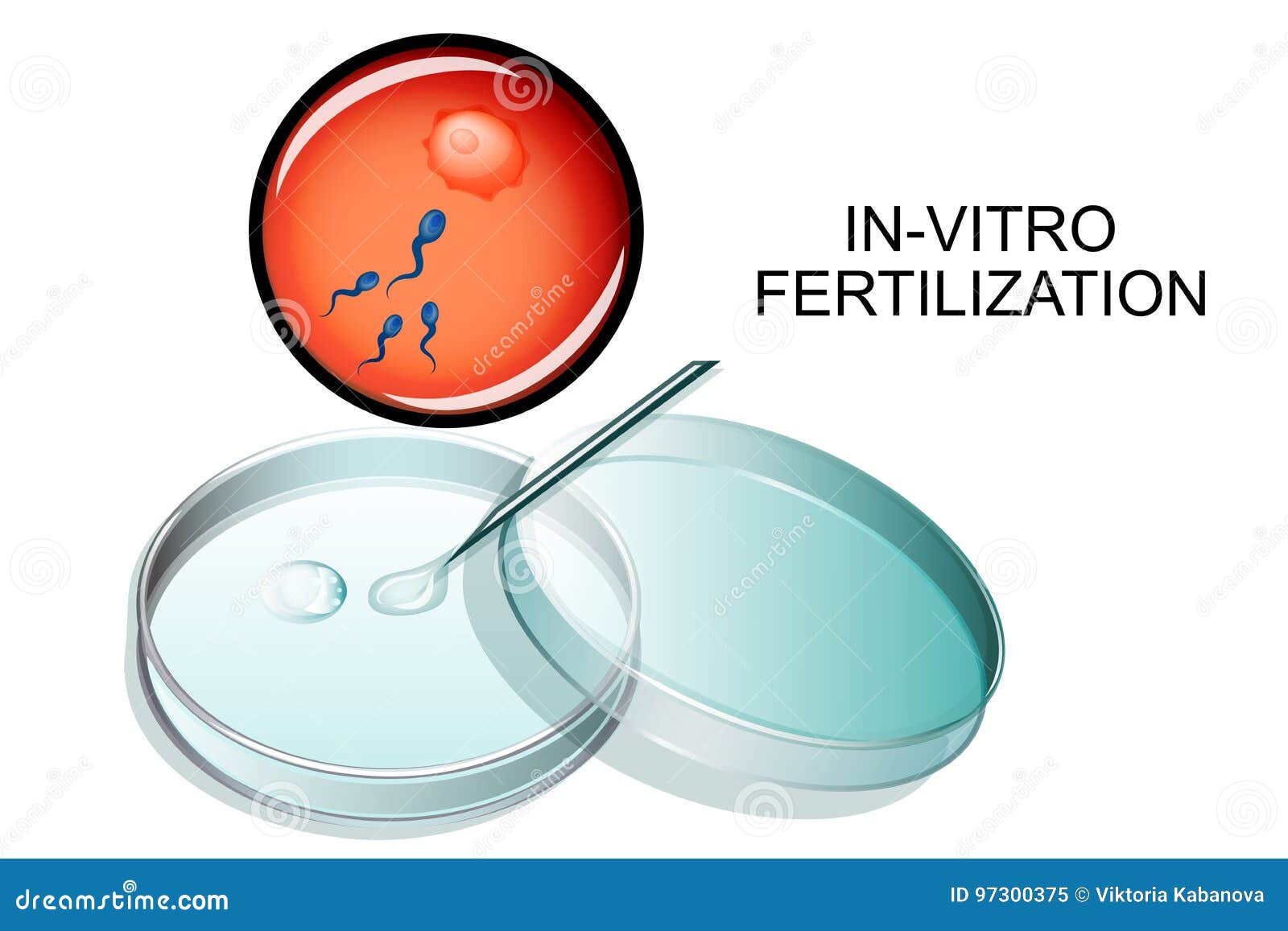 In Vitro Fertilization Isometric 3d Icon Cartoon Vector | CartoonDealer ... In Vitro Fertilization Isometric 3d Icon Cartoon Vector | CartoonDealer ...