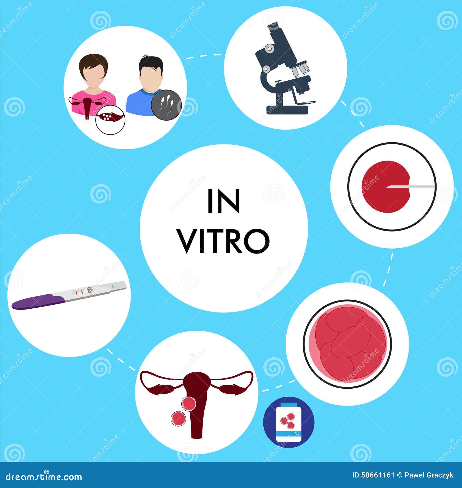 In vitro fertilization stock vector. Illustration of vitro - 50661161